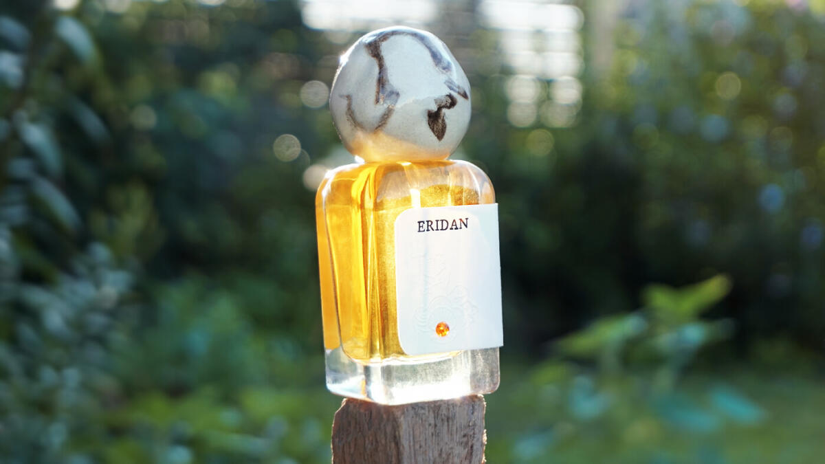 Eridan Bale Perfumes perfume - a new fragrance for women and men 2024
