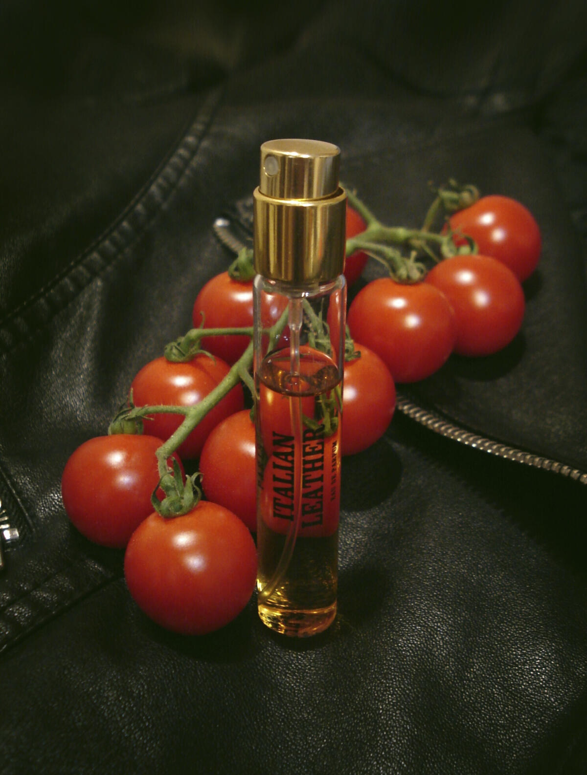 Italian Leather Memo Paris perfume - a fragrance for women and men 2013