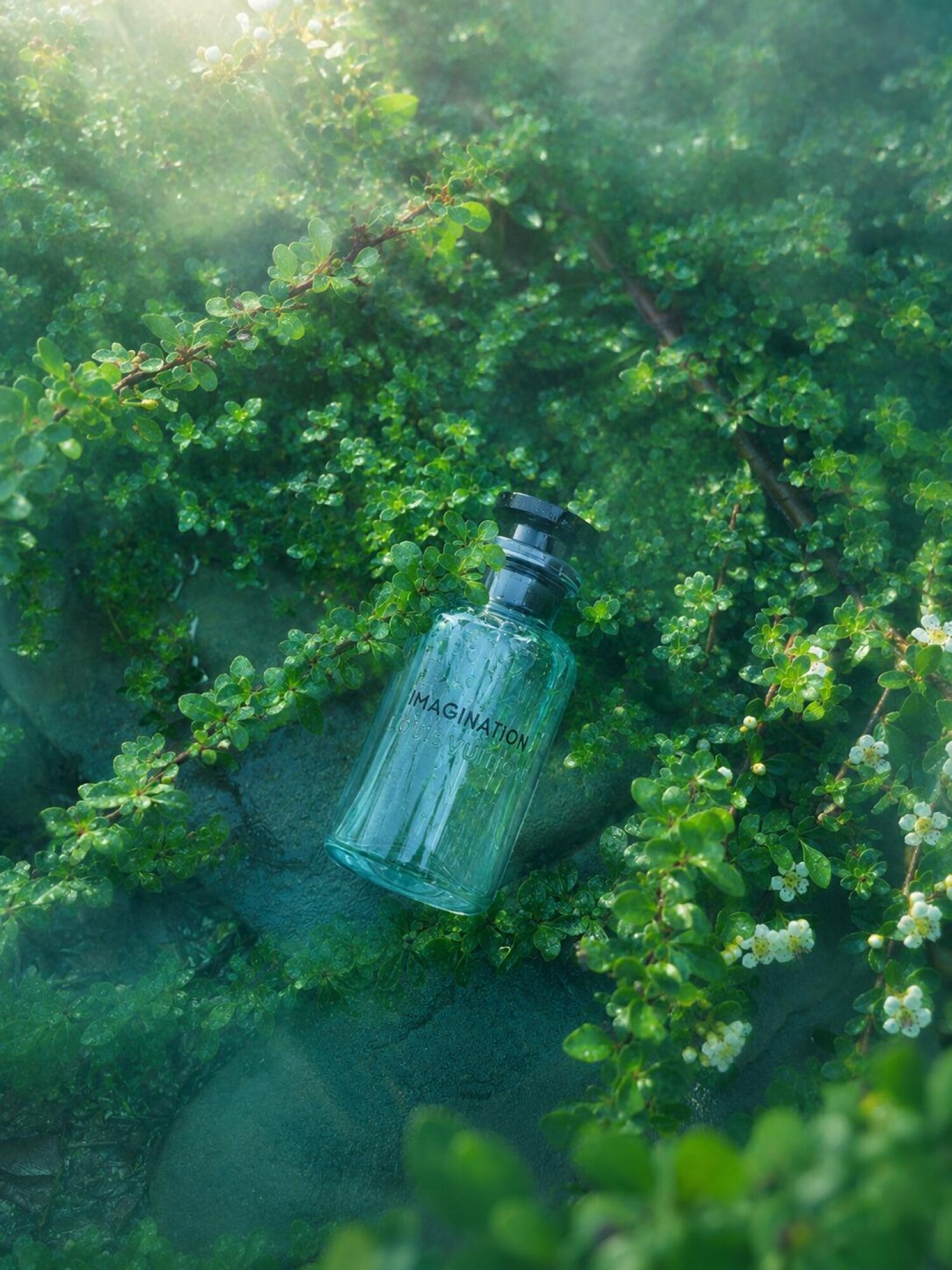 Imagination Louis Vuitton ماء كولونيا - a fragrance للرجال 2021