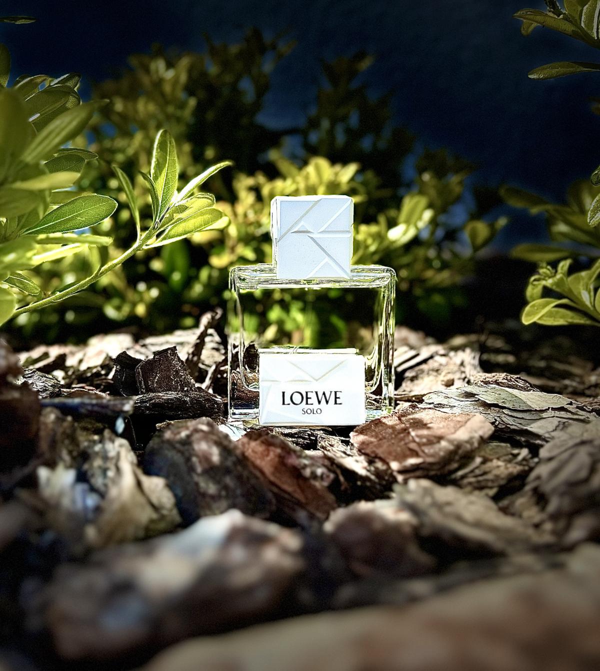 Solo Loewe Origami Loewe cologne - a fragrance for men 2018