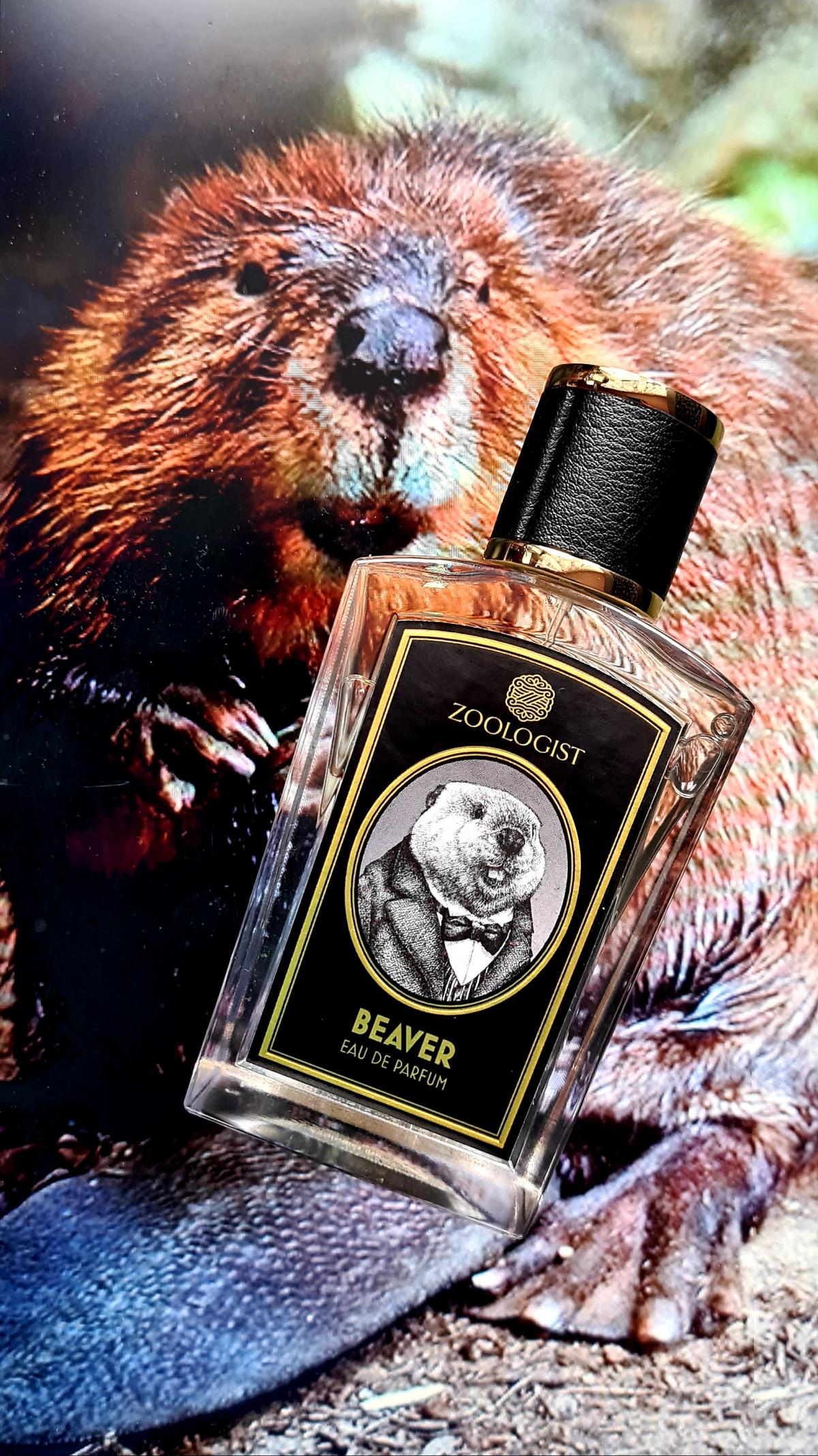 Beaver Edition 2016 Zoologist Perfumes parfum - un parfum pour homme et ...