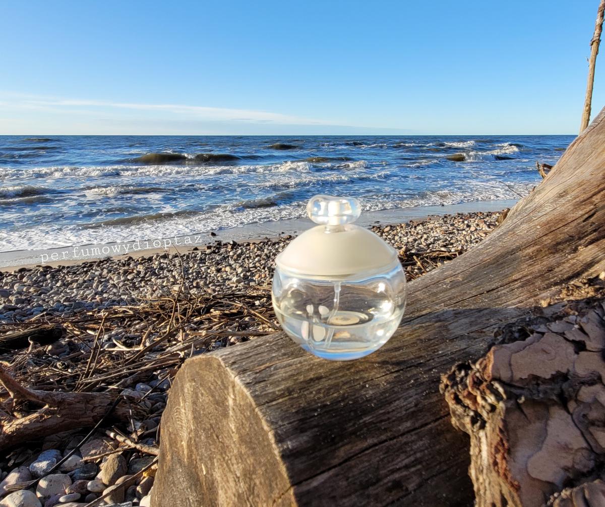 Noa Cacharel perfume - a fragrância Feminino 1998