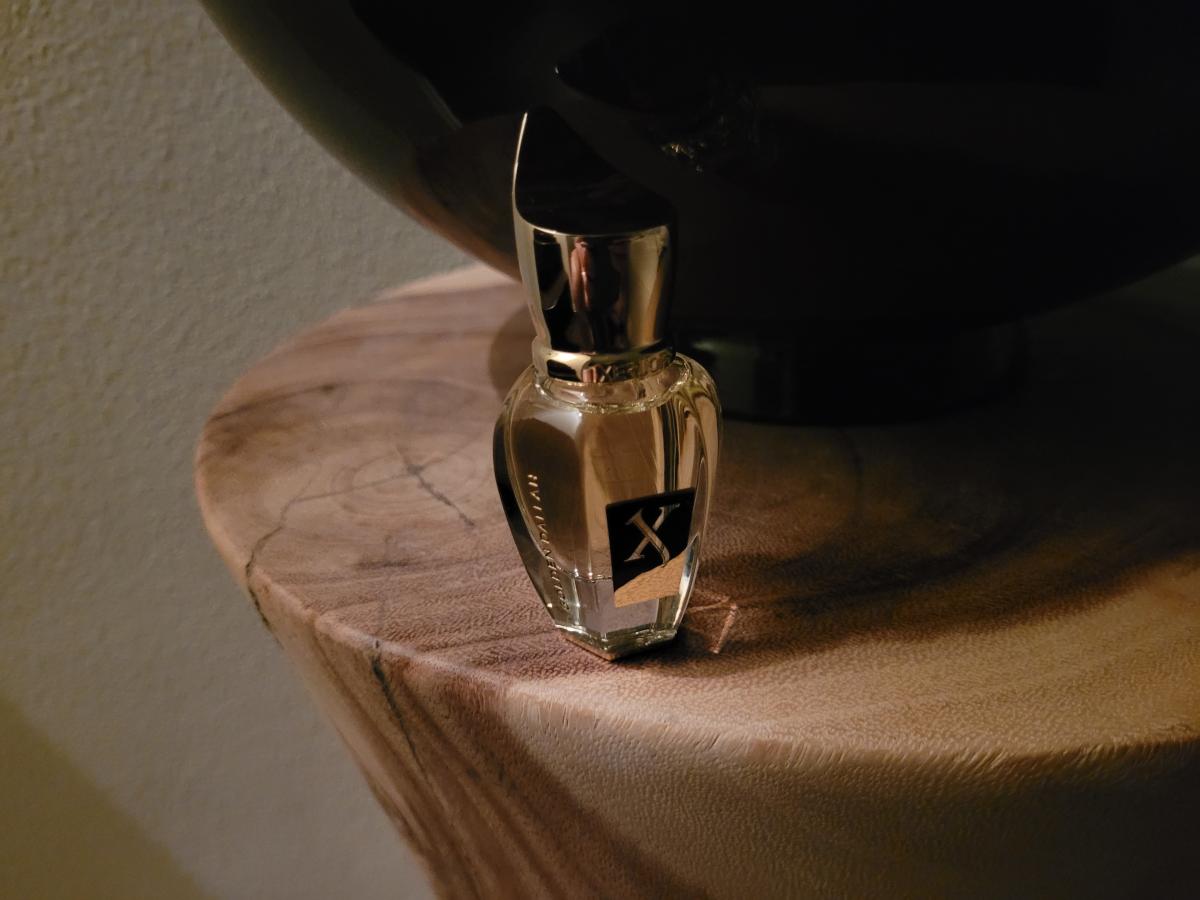 Golden Dallah Xerjoff perfume - a fragrance for women and men 2018