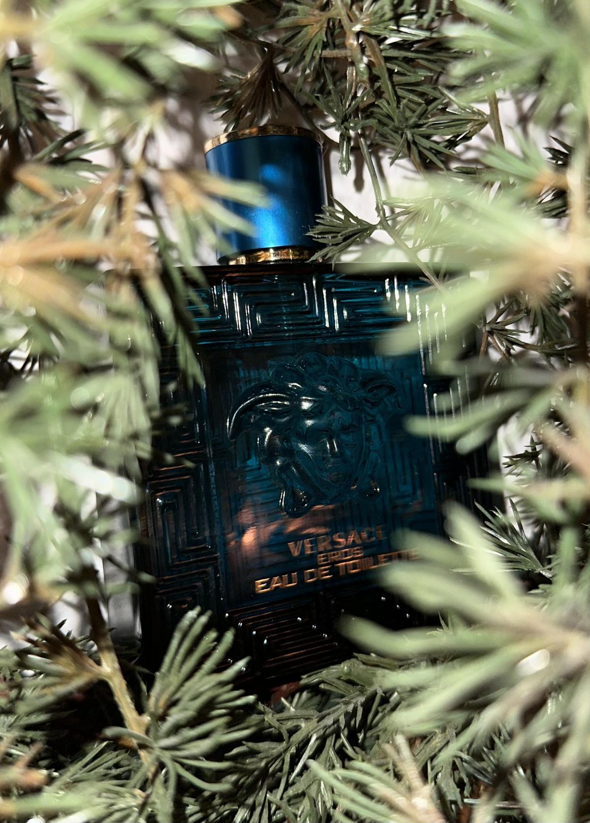 Eros Versace cologne - a fragrance for men 2012
