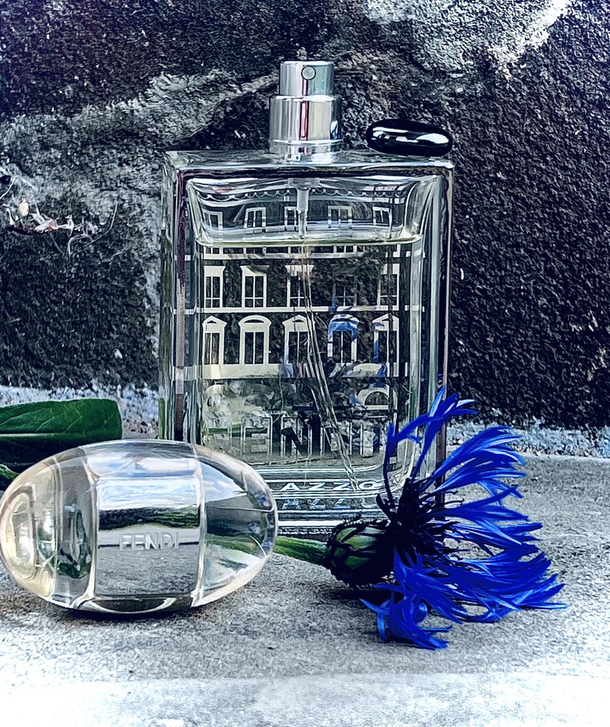 Palazzo Fendi Eau de Toilette Fendi perfume - a fragrance for women 2008