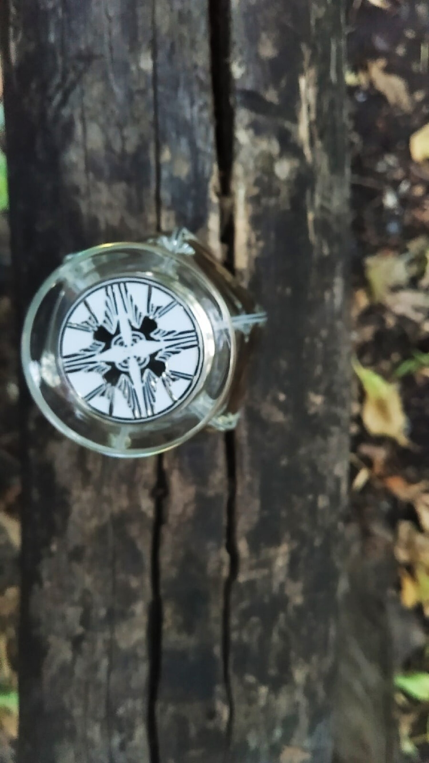 Living Lalique Lalique perfume - a fragrance for women 2015