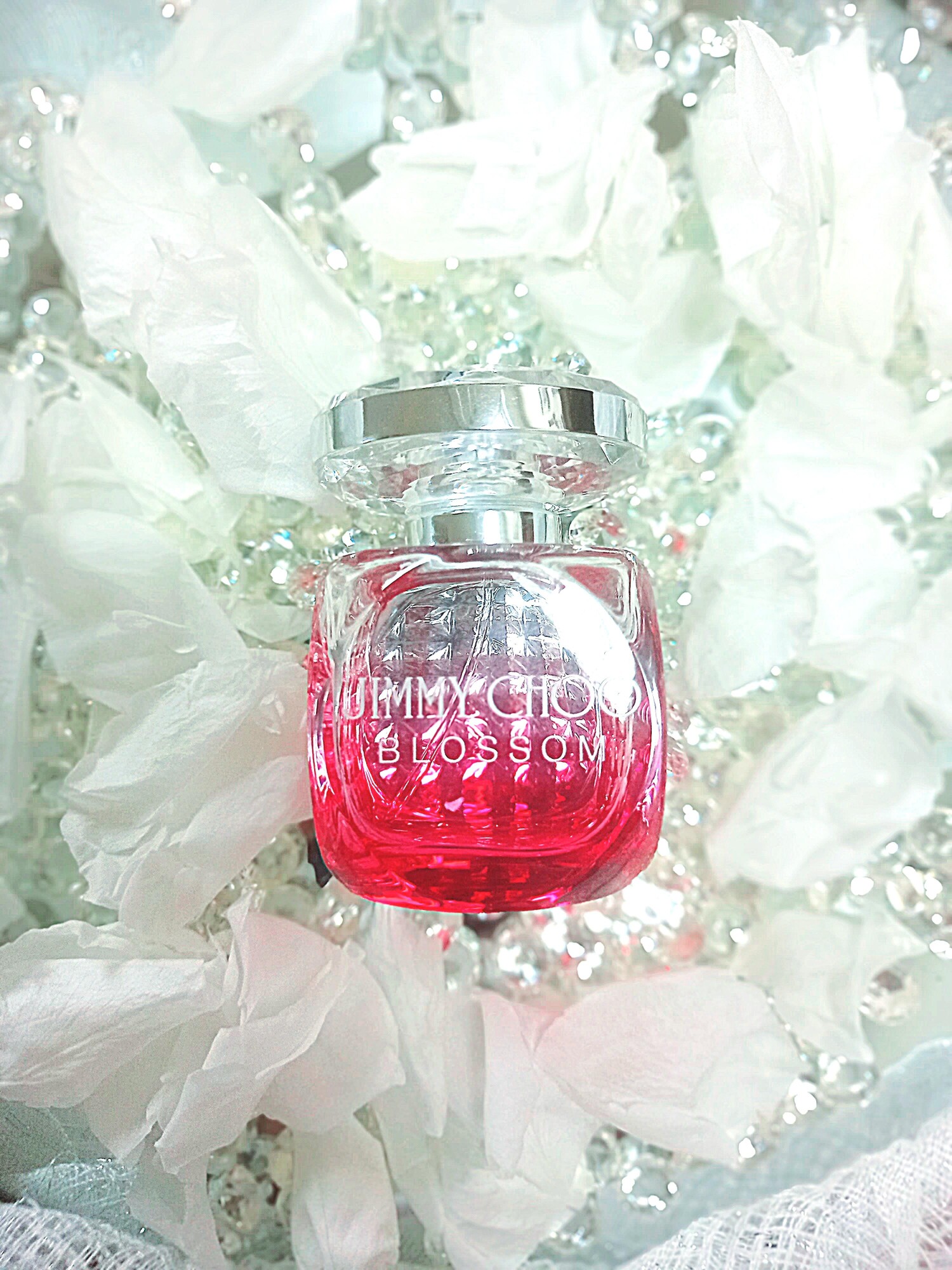 Jimmy Choo Blossom Jimmy Choo parfum - un parfum pour femme 2015