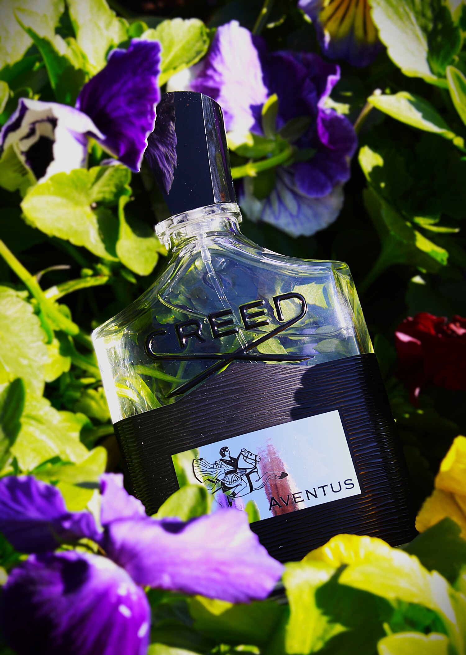 Aventus Creed cologne - a fragrance for men 2010