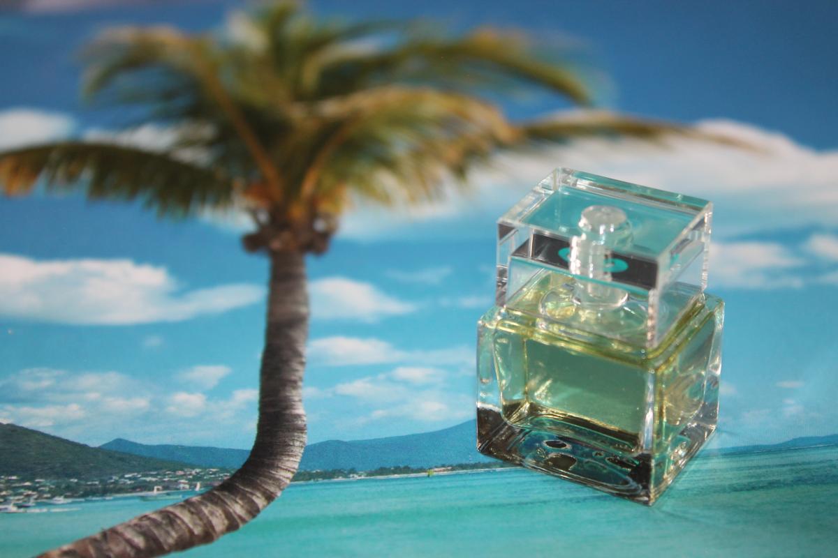 Island Michael Kors perfume - a fragrance for women 2005