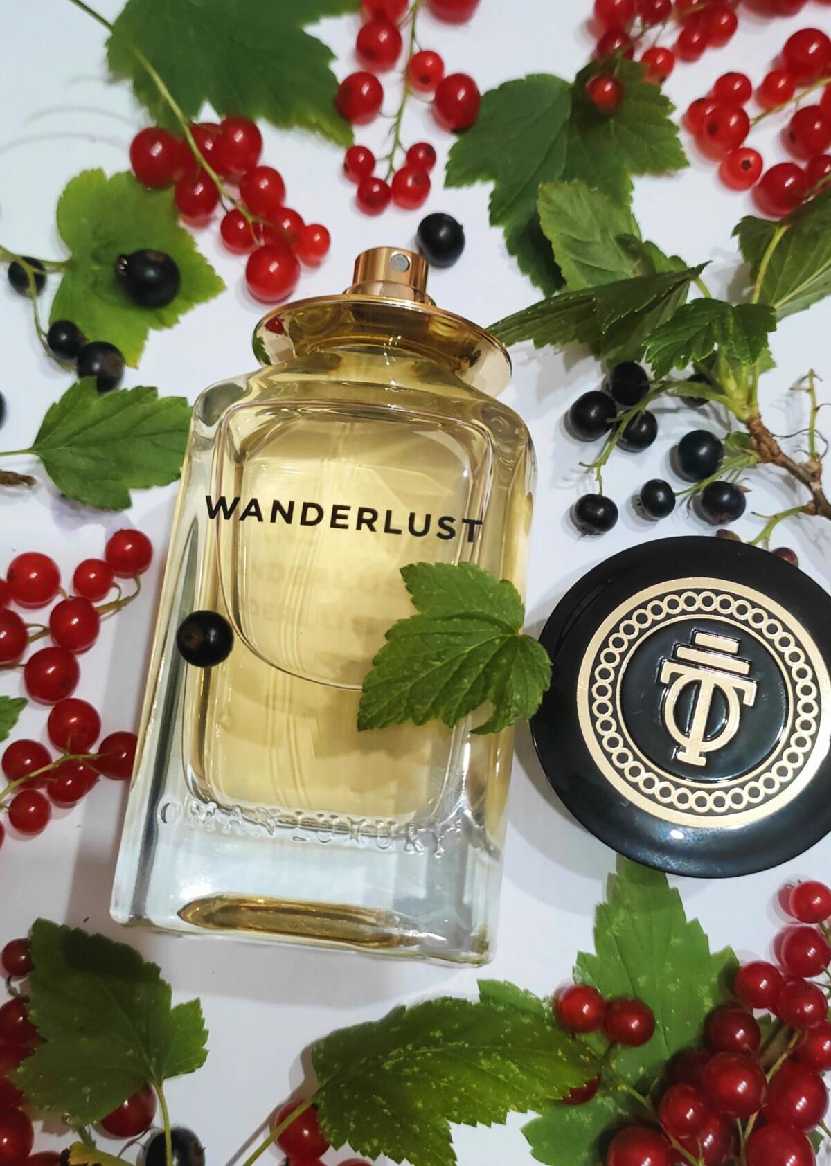 Wanderlust 2023 Edition Omanluxury perfume - a fragrance for women and ...