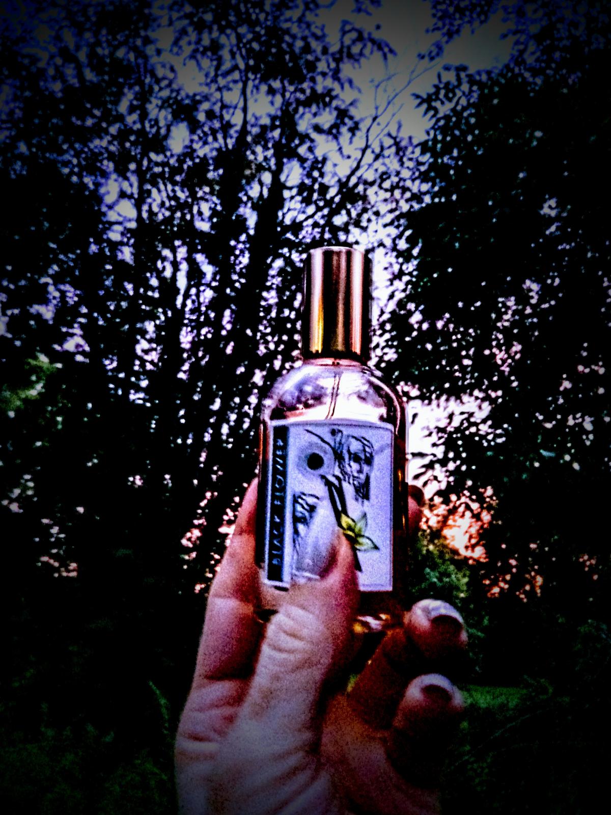 Black Flower Mexican Vanilla Dame Perfumery perfume - a fragrance for ...