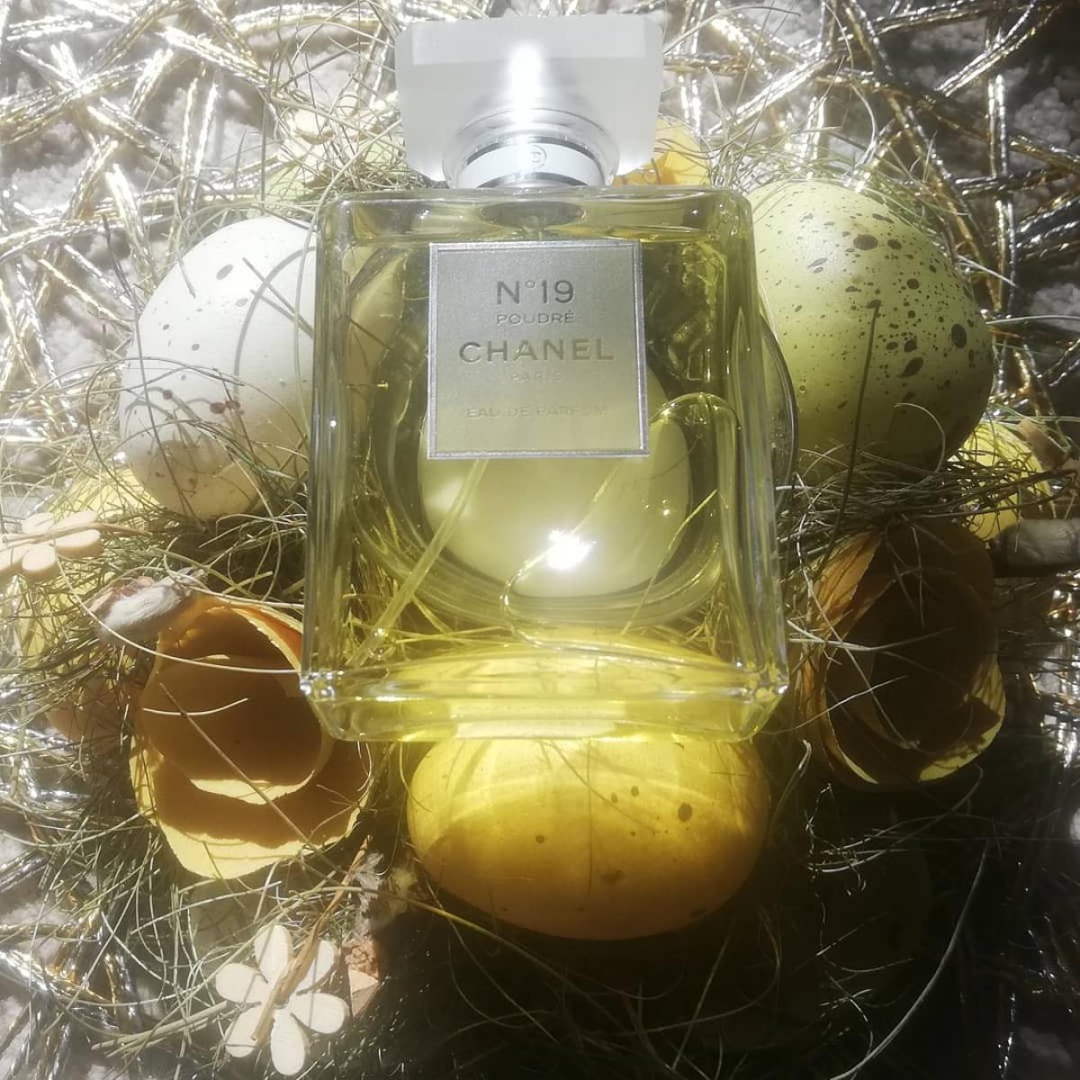 Chanel No 19 Poudre Chanel perfume - a fragrance for women 2011