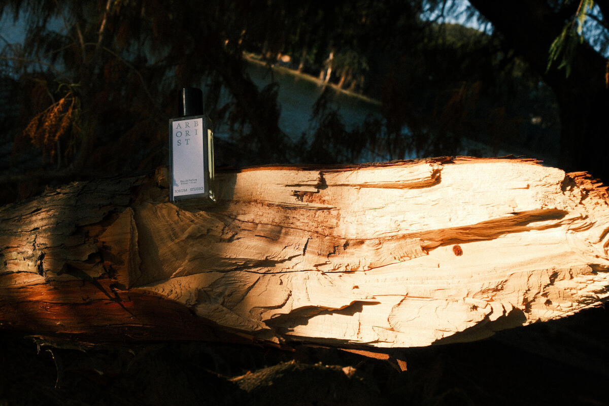 Arborist Jorum Studio perfume - a fragrance for women and men 2019