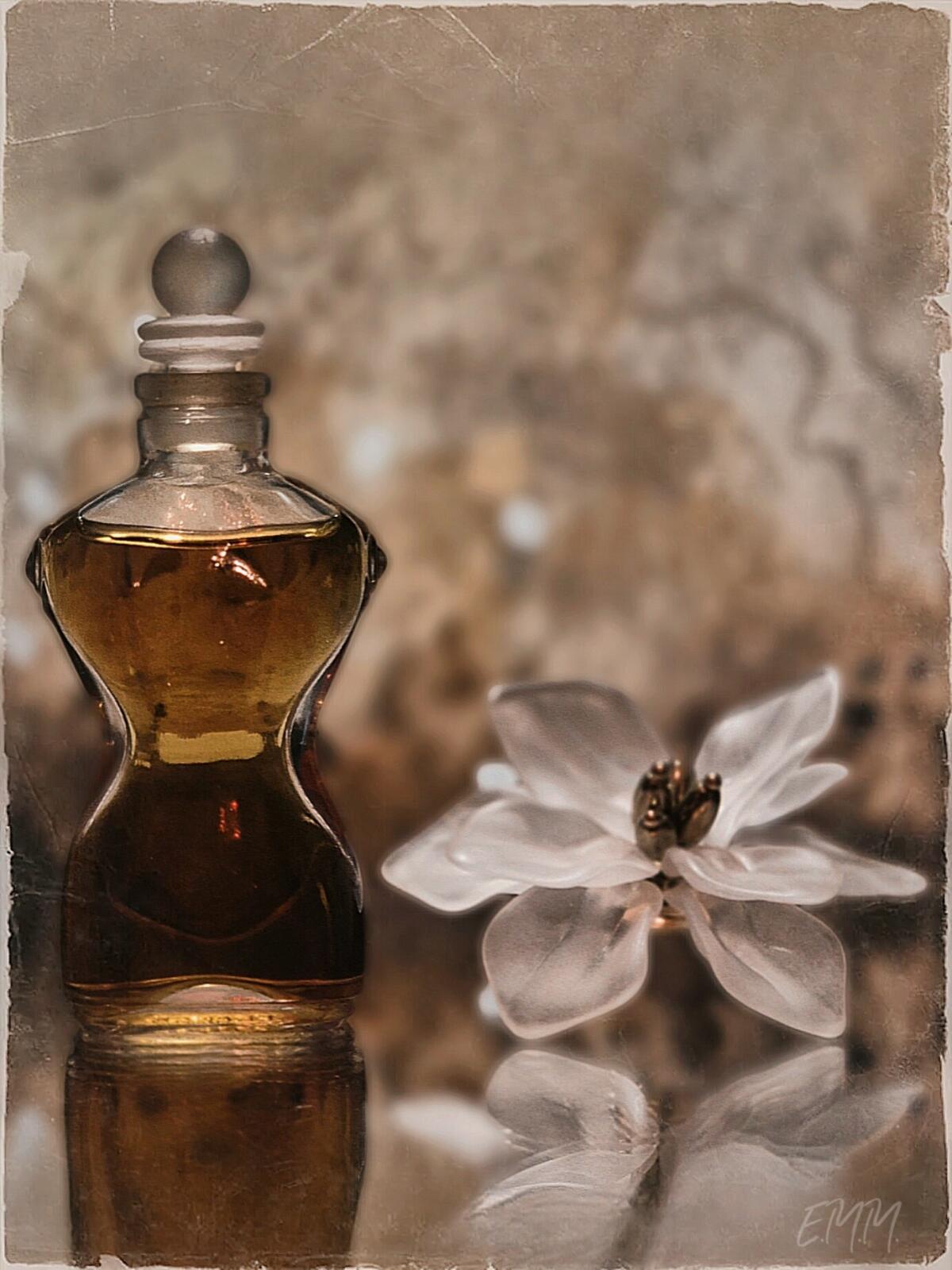 Shocking Schiaparelli perfume - a fragrance for women 1937