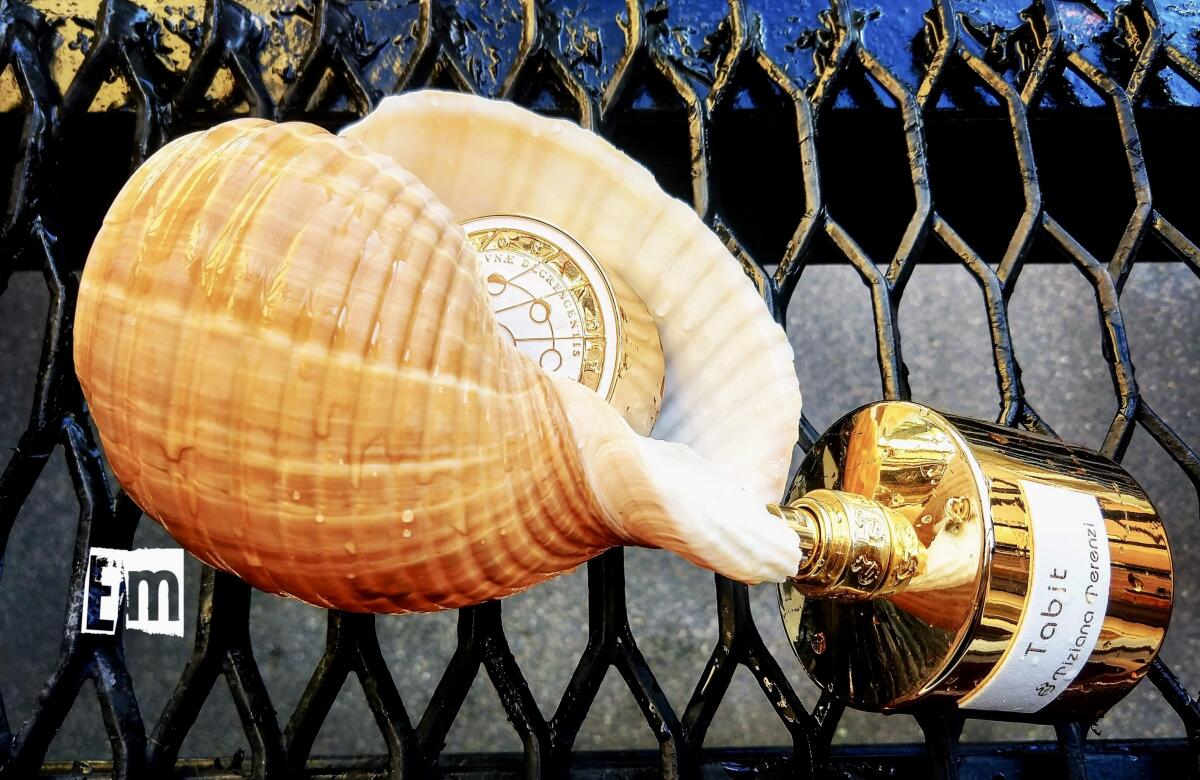 Tabit Tiziana Terenzi perfume - a fragrance for women and men 2016