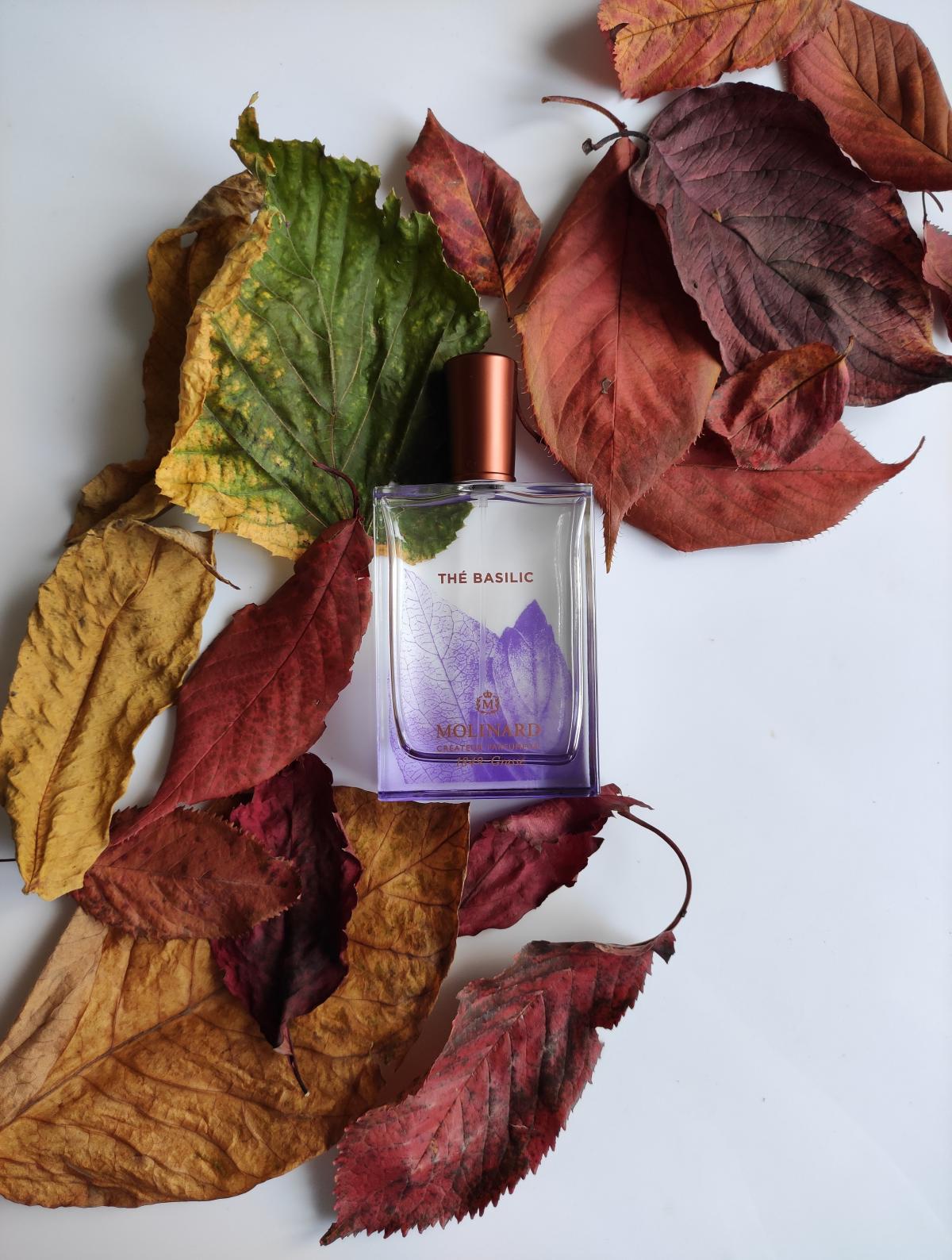 Thé Basilic Molinard perfume - a fragrance for women and men 2019