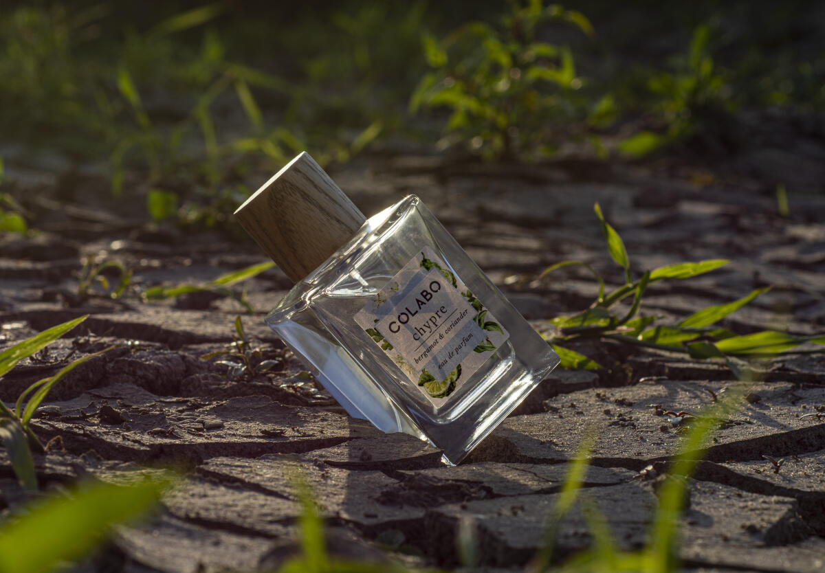 Chypre Bergamot & Coriander COLABO parfum - un parfum pour homme et femme 2021