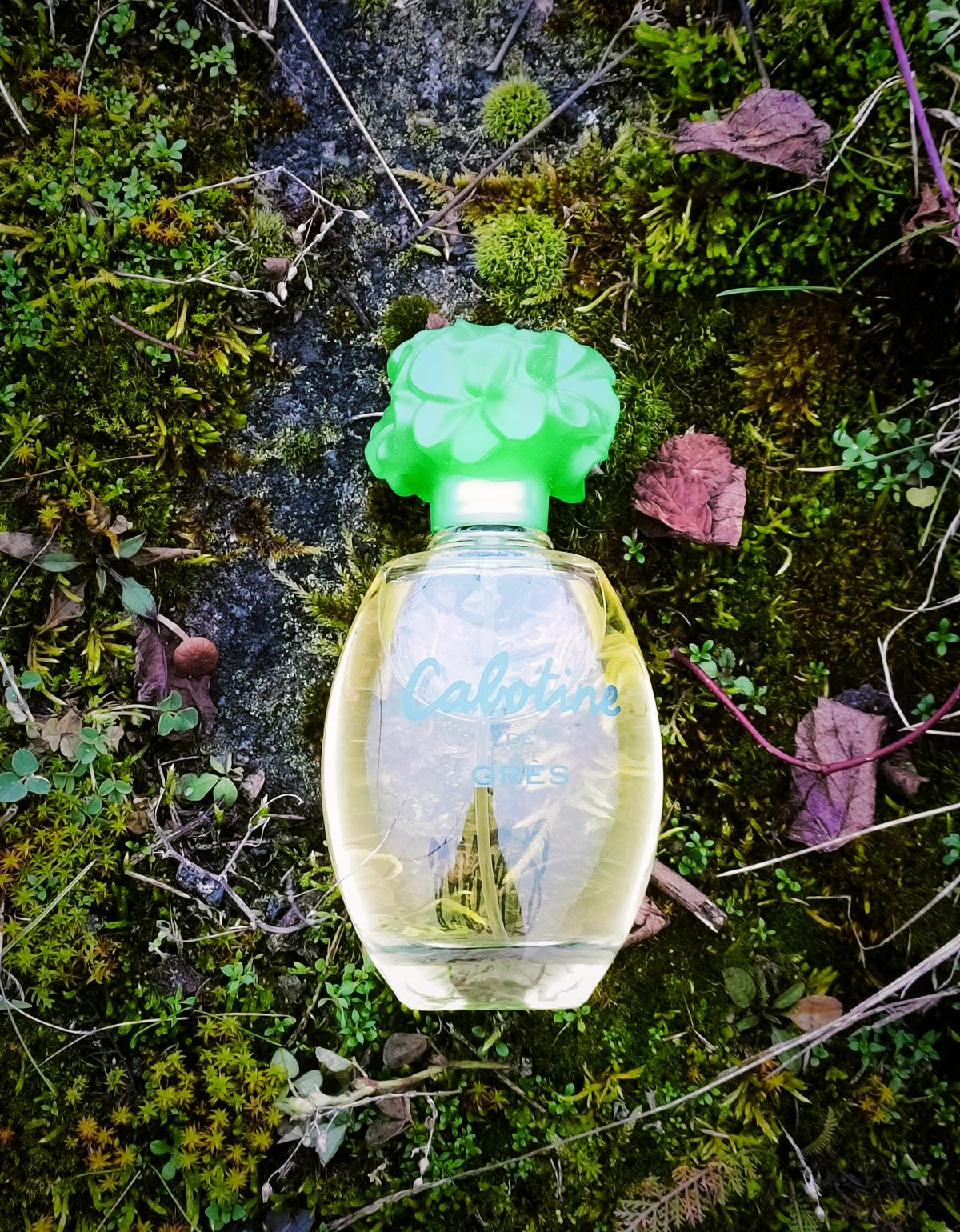 Cabotine Grès perfume - a fragrance for women 1990