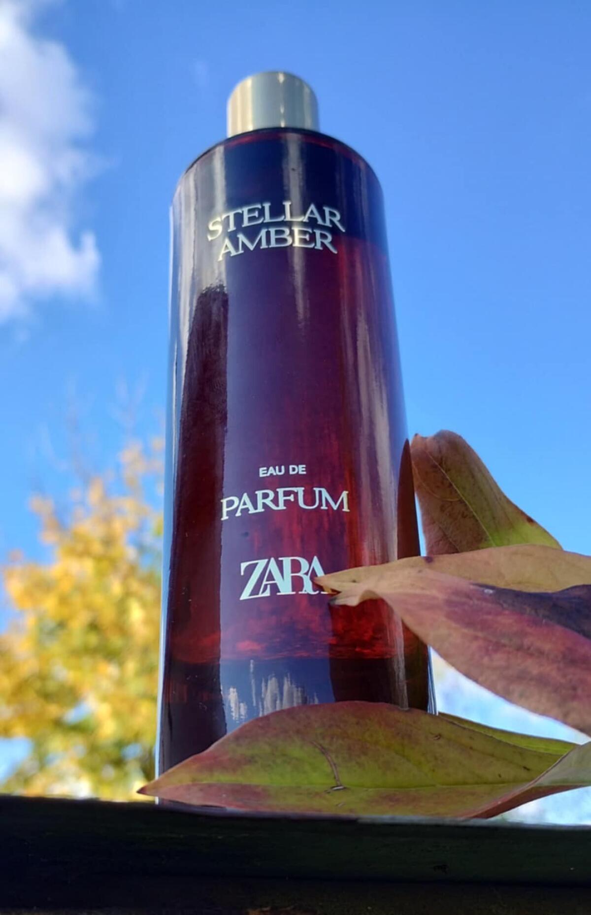 Stellar Amber Zara perfume - a new fragrance for women 2024