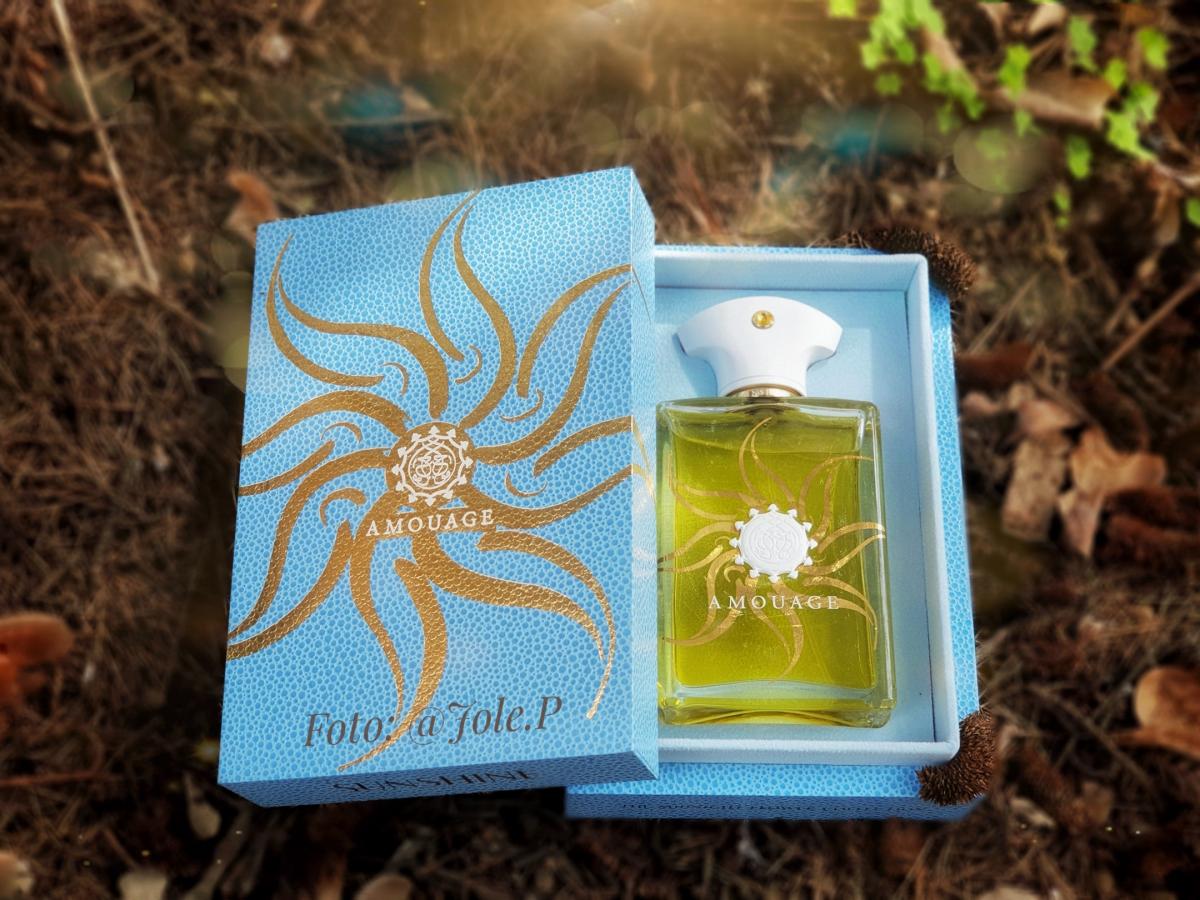 Sunshine Man Amouage cologne - a fragrance for men 2015