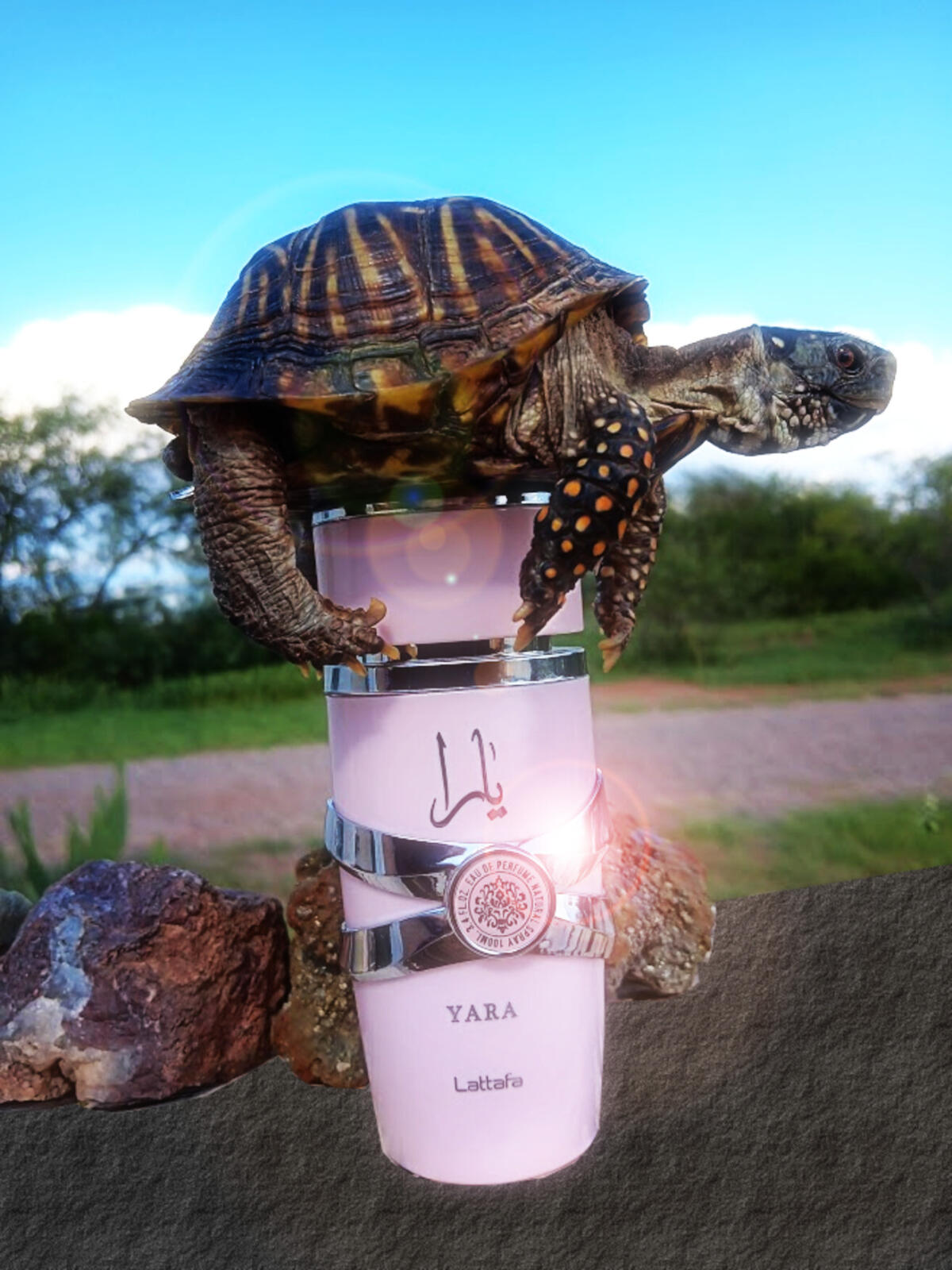 Yara Lattafa Perfumes perfume - a fragrance for women 2020