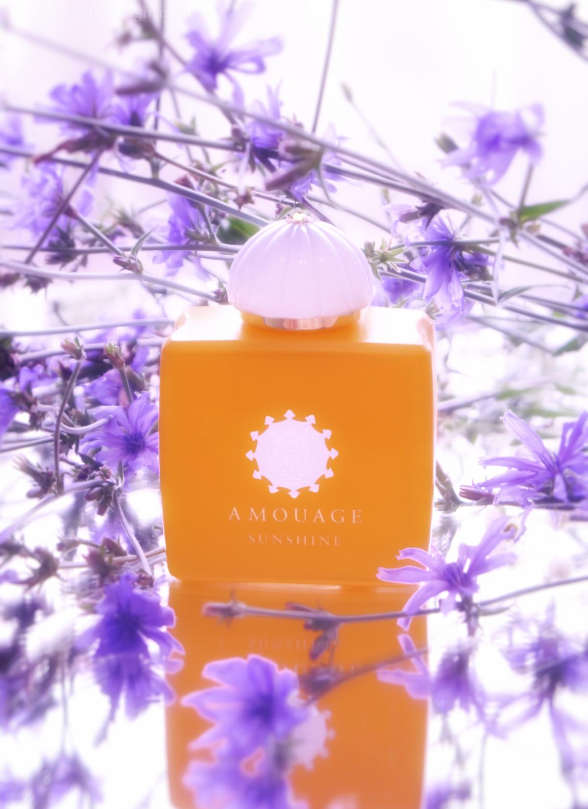 Sunshine Woman Amouage perfume - a fragrance for women 2014