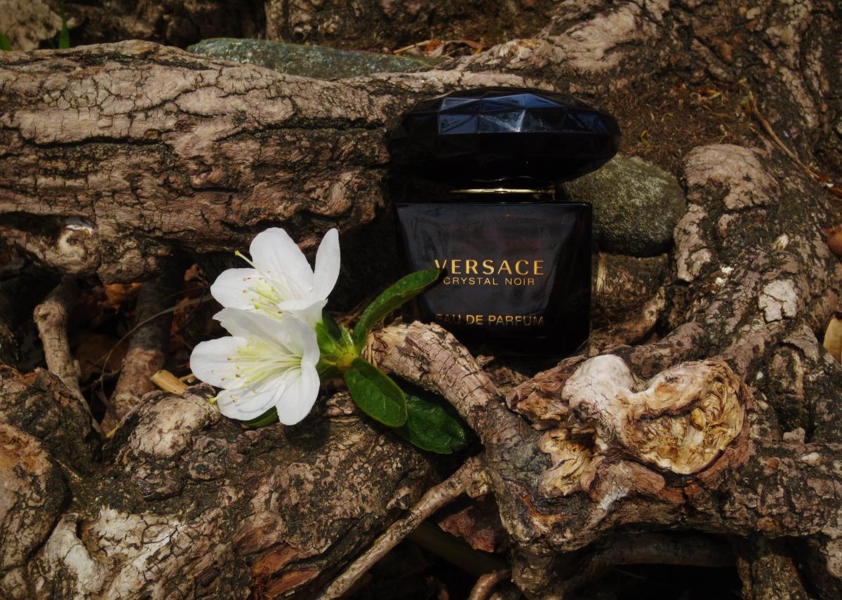 Crystal Noir Versace perfume - a fragrance for women 2004
