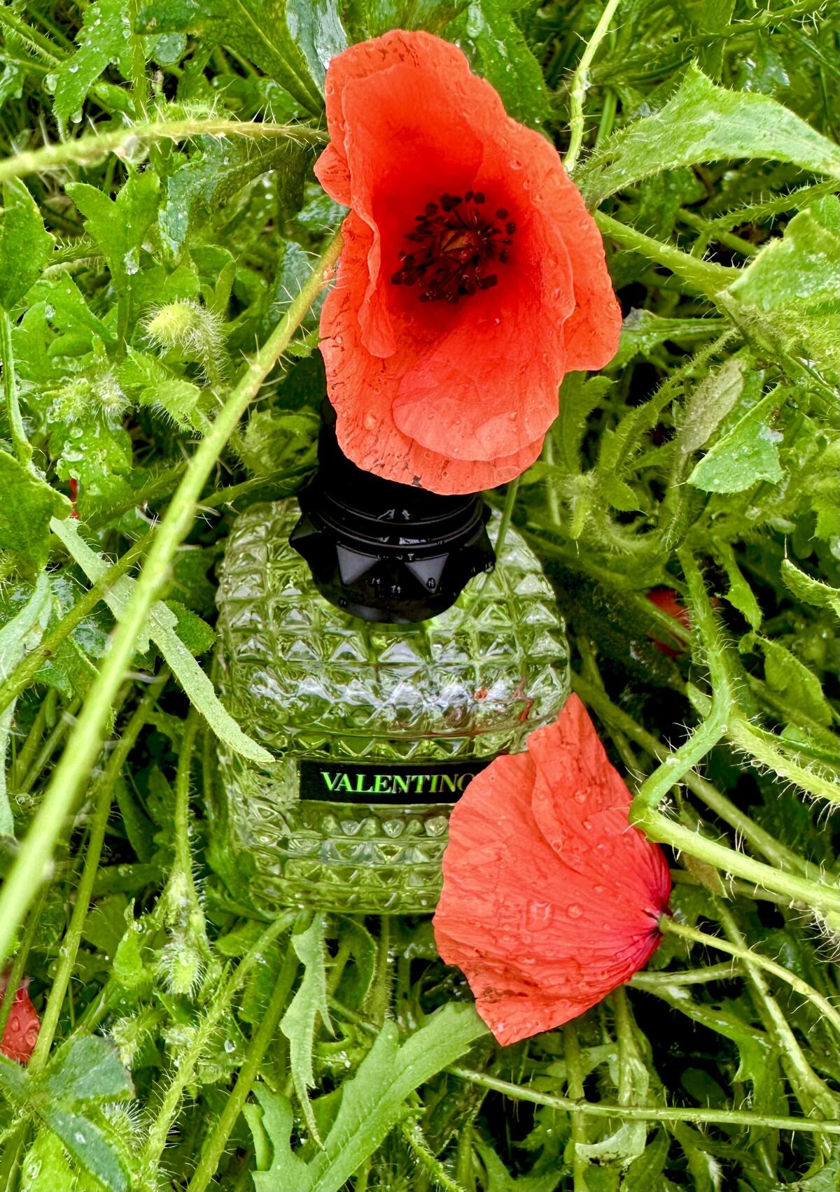 Valentino Donna Born in Roma Green Stravaganza Valentino parfem - novi parfem za žene 2024