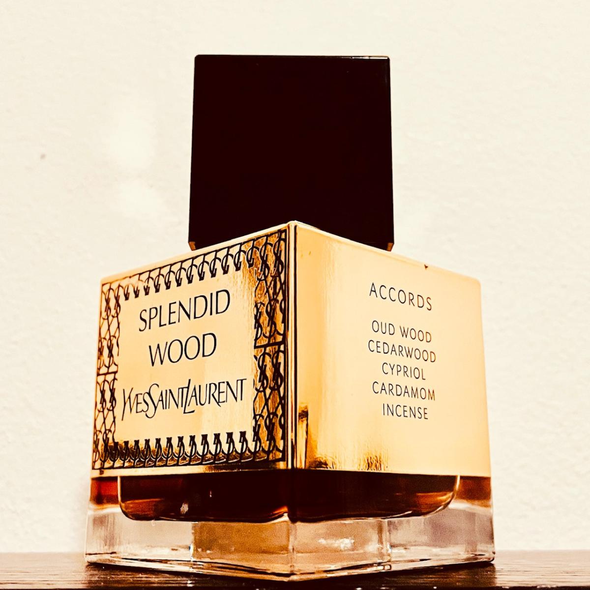 Splendid Wood Yves Saint Laurent perfume - a fragrance for women and ...