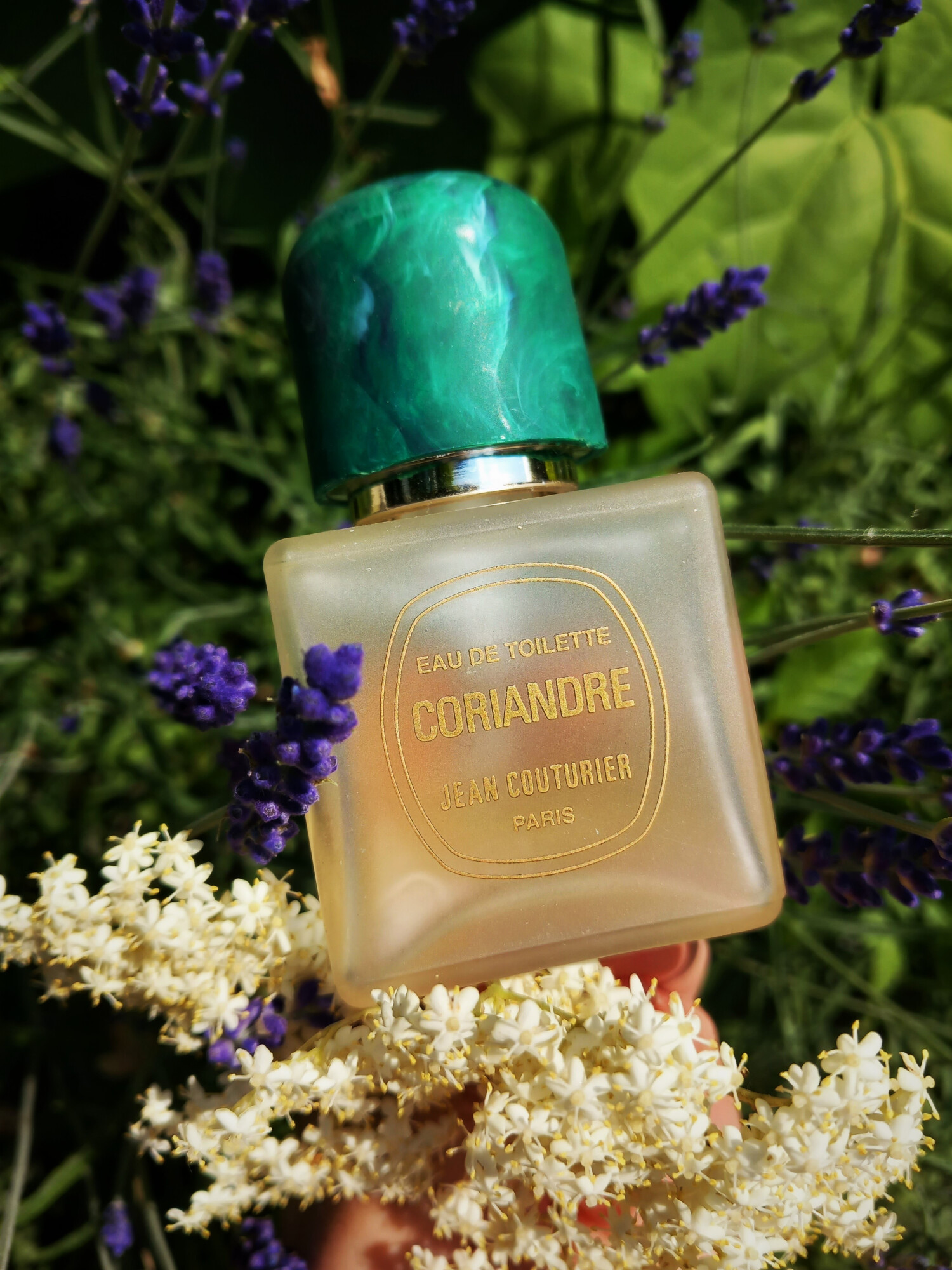 Coriandre Jean Couturier perfume - a fragrance for women 1973