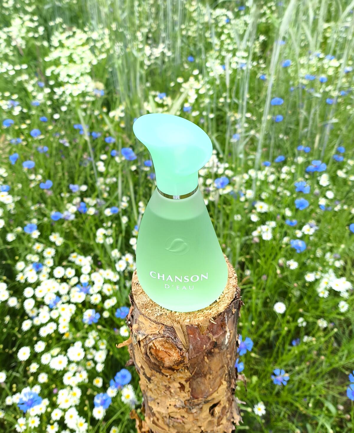 Chanson d'Eau Coty perfume - a fragrância Feminino 1995