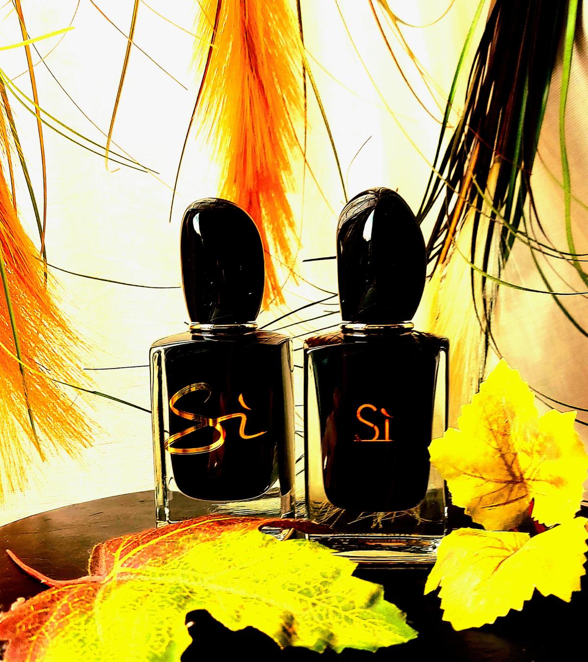 Si Intense Night Light Giorgio Armani perfume - a fragrance for women 2016