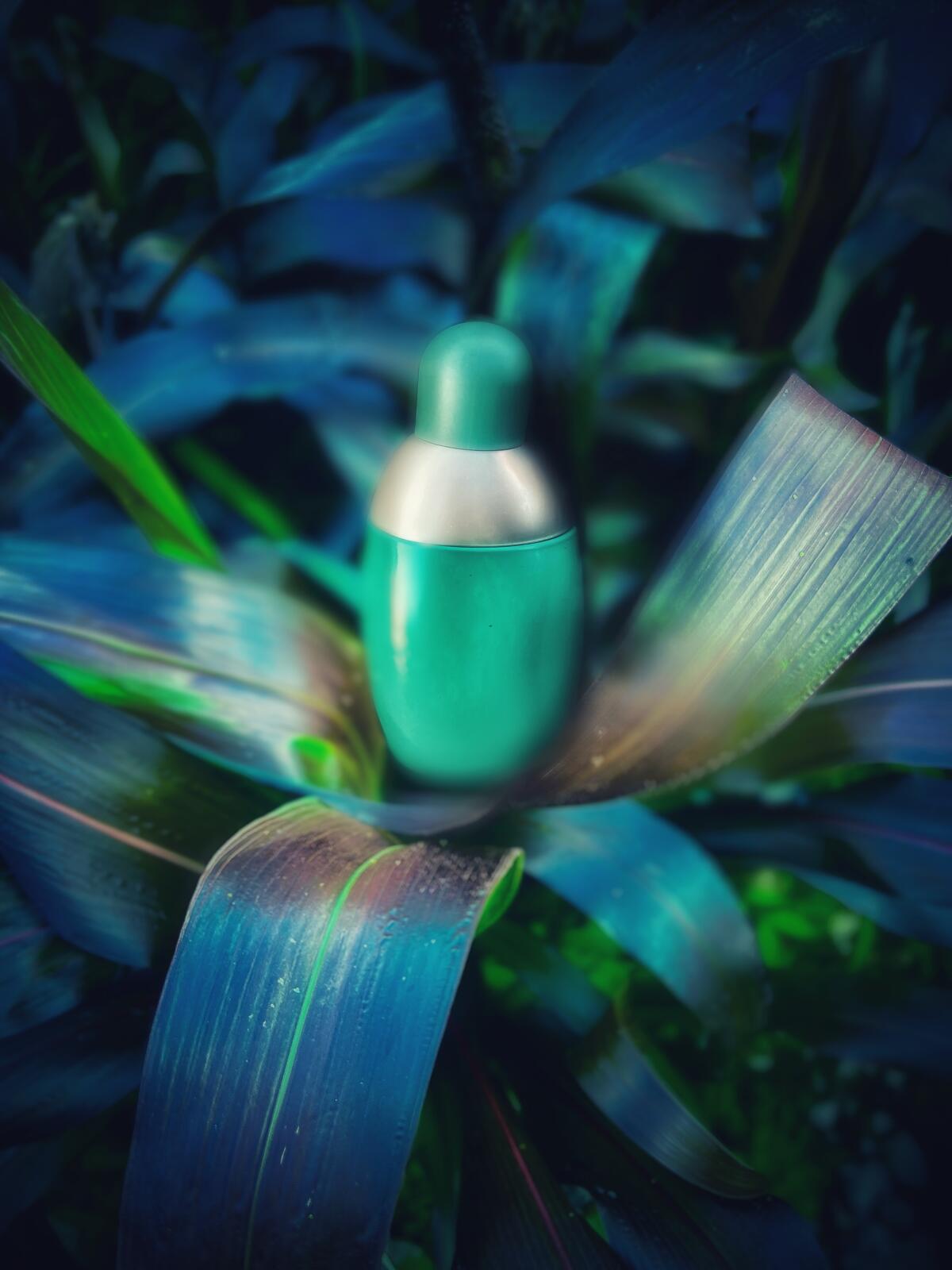 Eden Cacharel perfume - a fragrância Feminino 1994