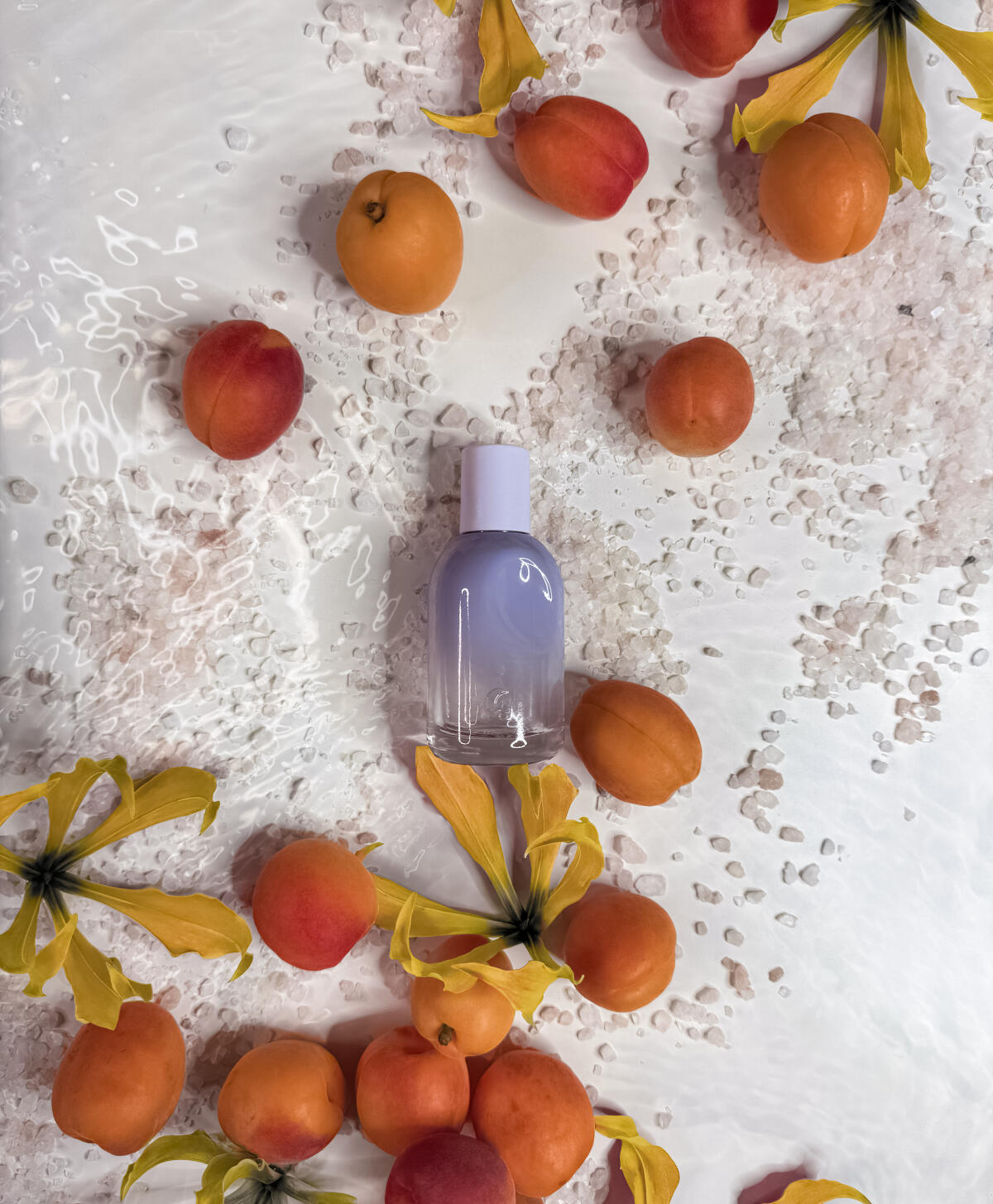 You Fleur Glossier perfume - a novo fragrância Compartilhável 2025