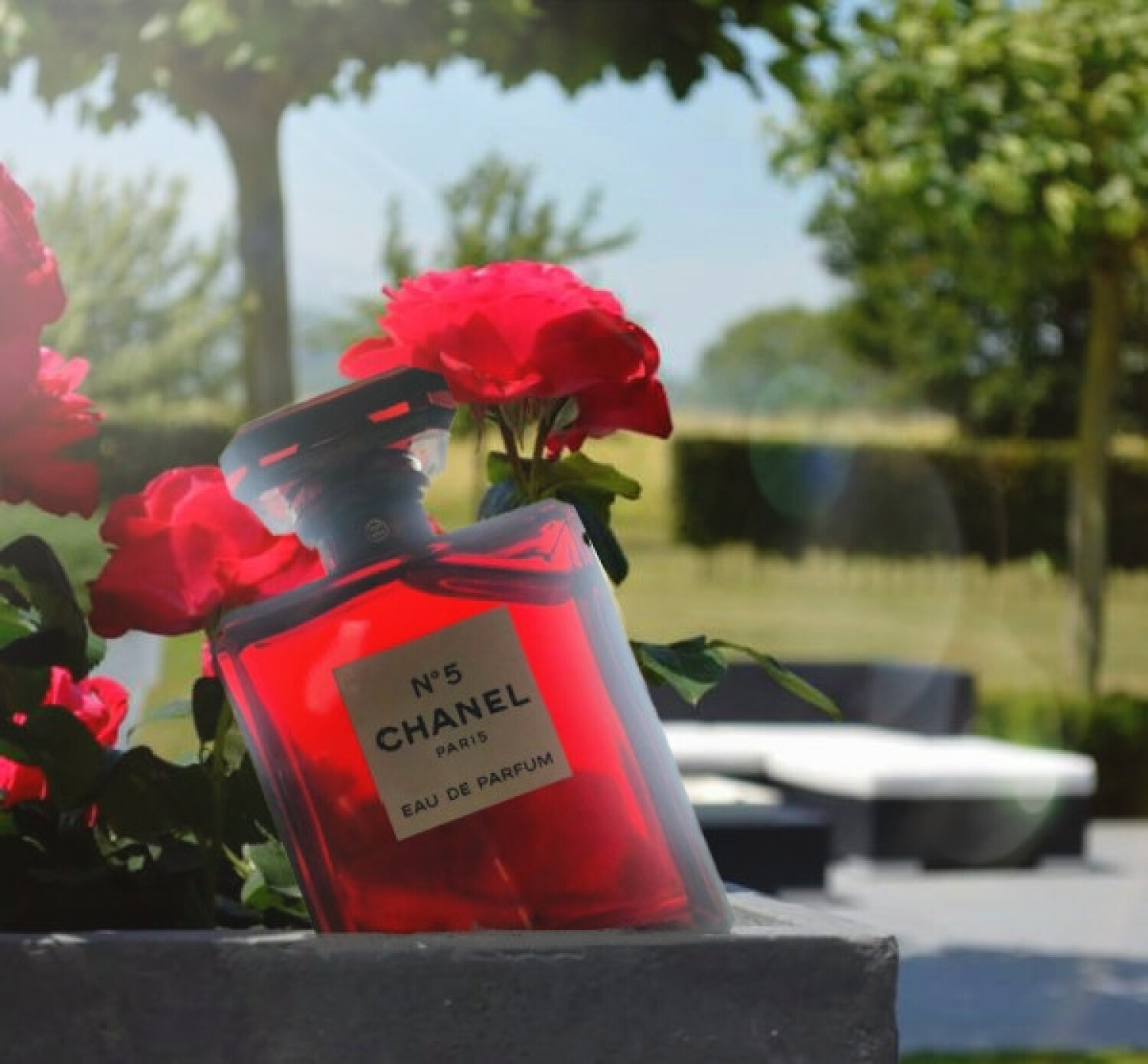 Chanel No 5 Eau de Parfum Red Edition Chanel perfume - a fragrance for ...