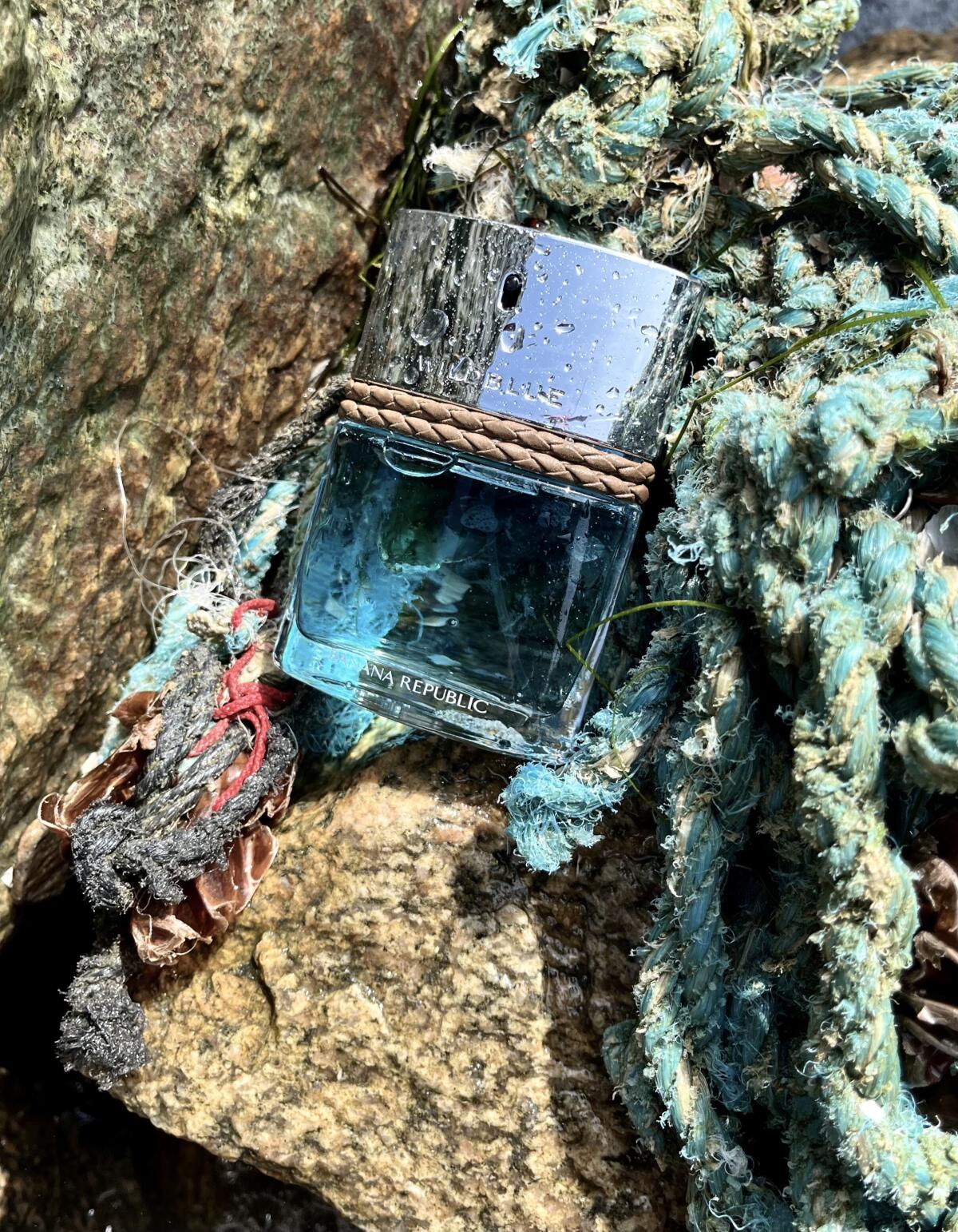 Wildblue Banana Republic cologne - a fragrance for men 2012