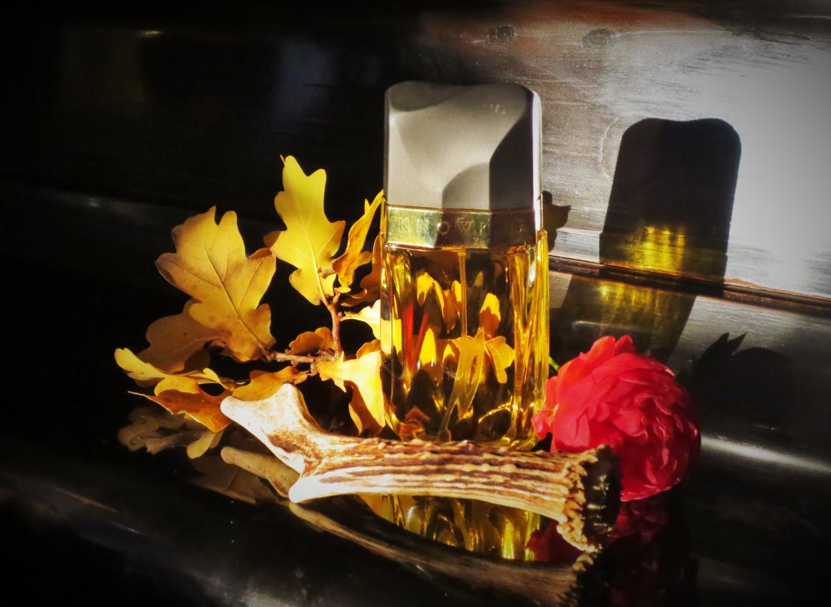 Knowing Estée Lauder perfume - a fragrance for women 1988