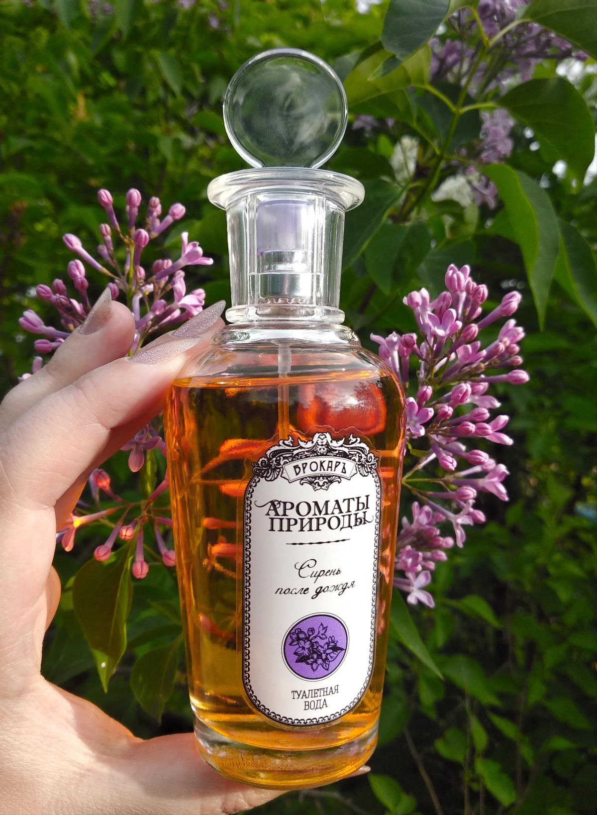 Сирень после дождя - Lilac After The Rain Brocard аромат — аромат для ...