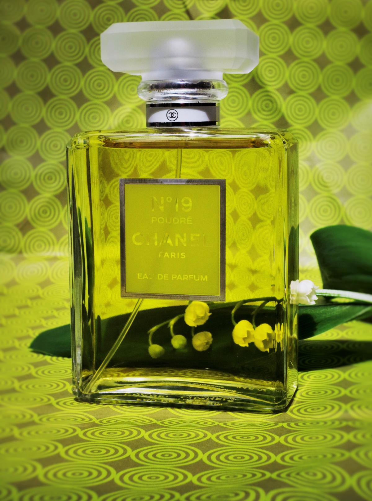 Chanel No 19 Poudre Chanel perfume - a fragrance for women 2011