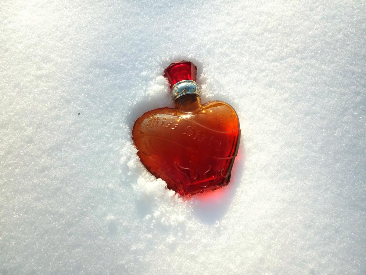 Miss Sixty Rock Muse Miss Sixty perfume - a fragrance for women 2007