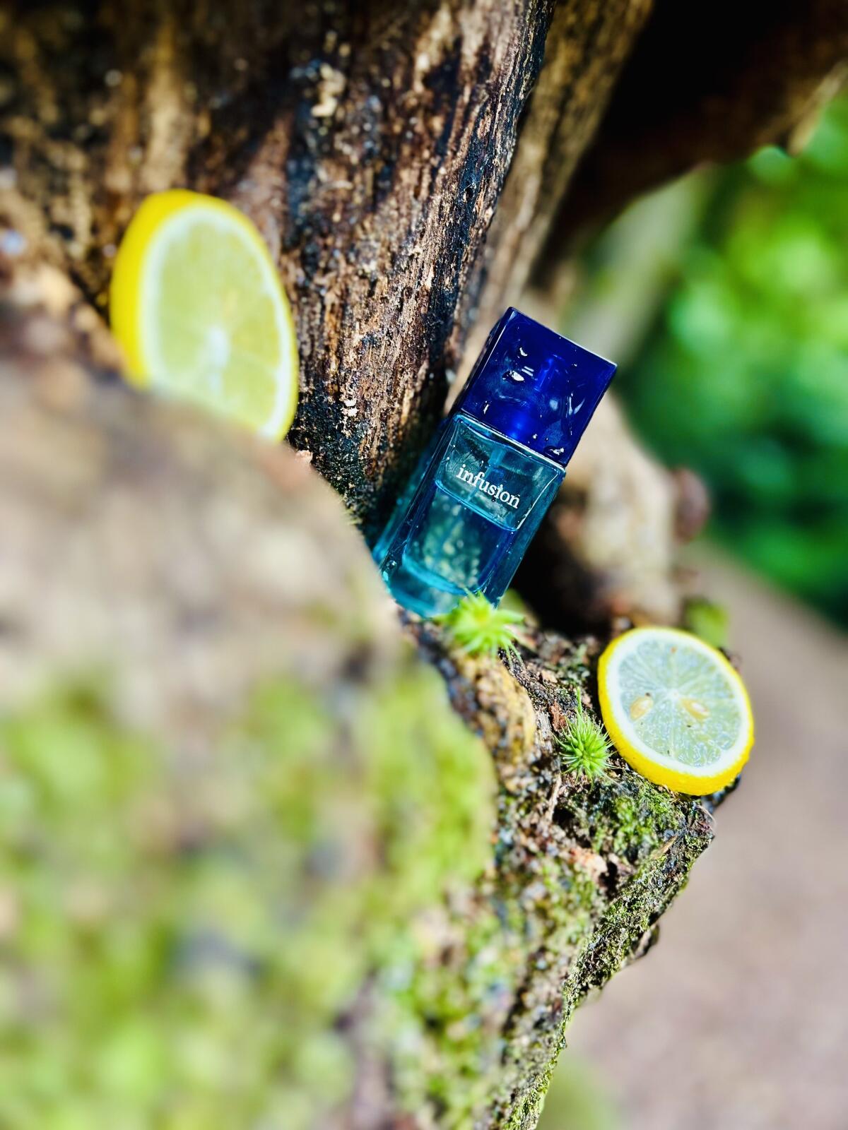 Infusion Bombay Sapphire perfume - a fragrance for women and men 2003