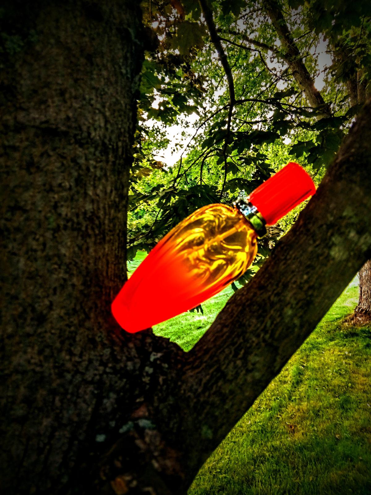 Sunset Heat Escada perfume - a fragrance for women 2007