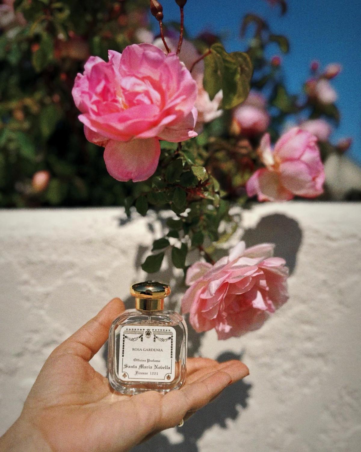 Rosa Gardenia Santa Maria Novella perfume - a fragrance for women and ...