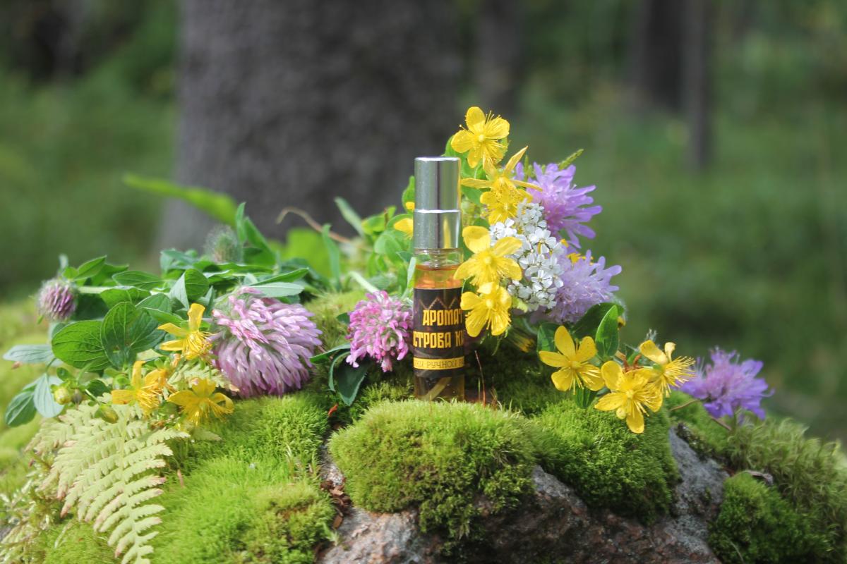 Kizhi Island (Аромат острова Кижи) Aroma Karelia perfume - a new ...