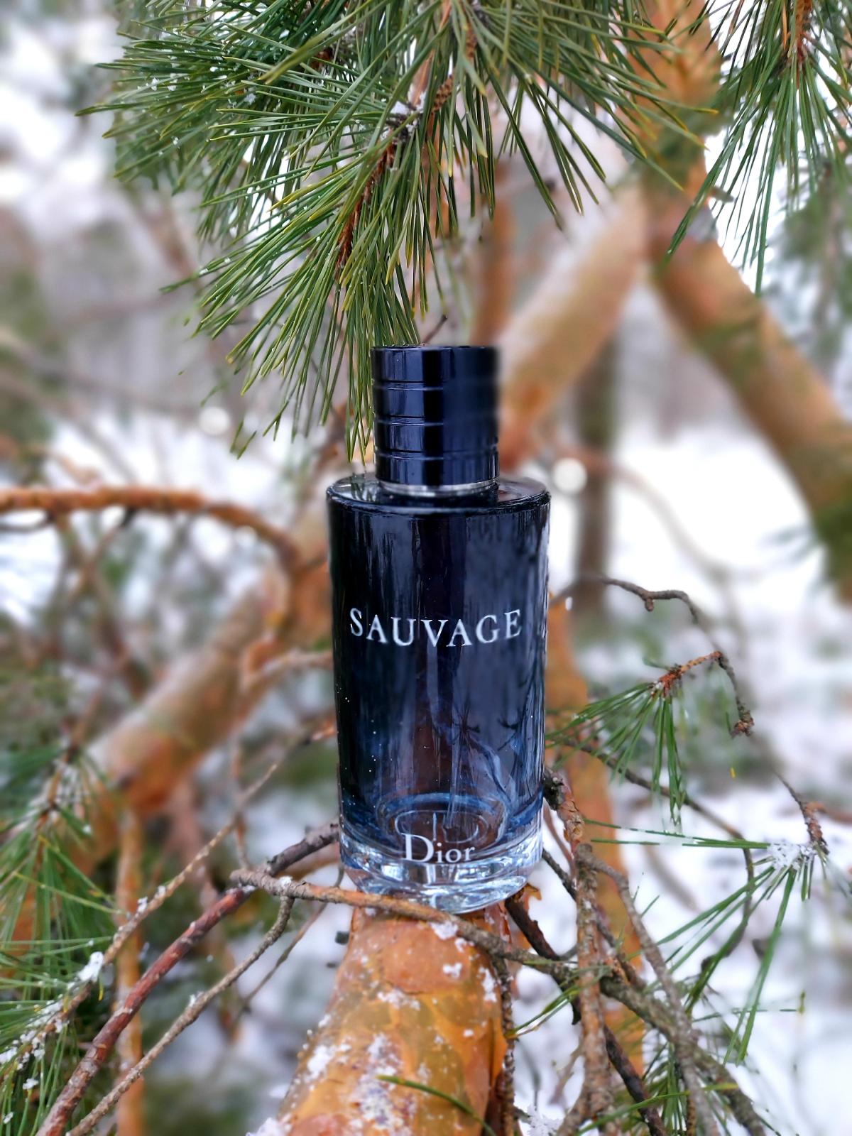 Sauvage Dior cologne - a fragrance for men 2015