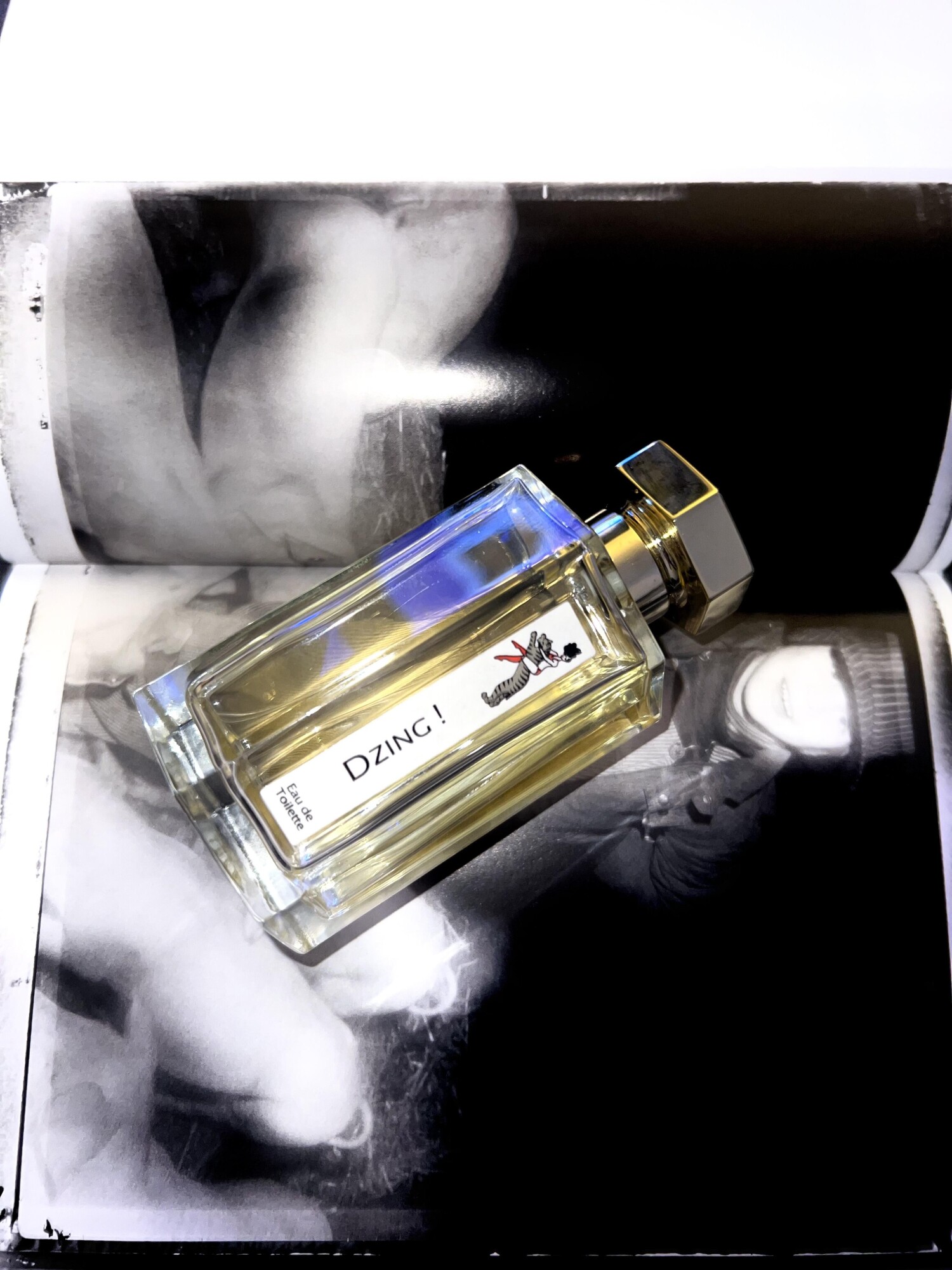 Dzing! L'Artisan Parfumeur perfume - a fragrance for women and men 1999