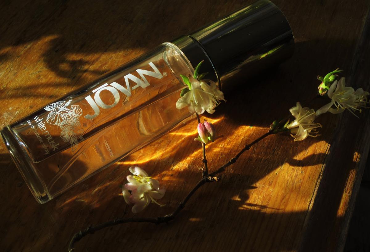 White Musk Jovan perfume - a fragrância Feminino 1990