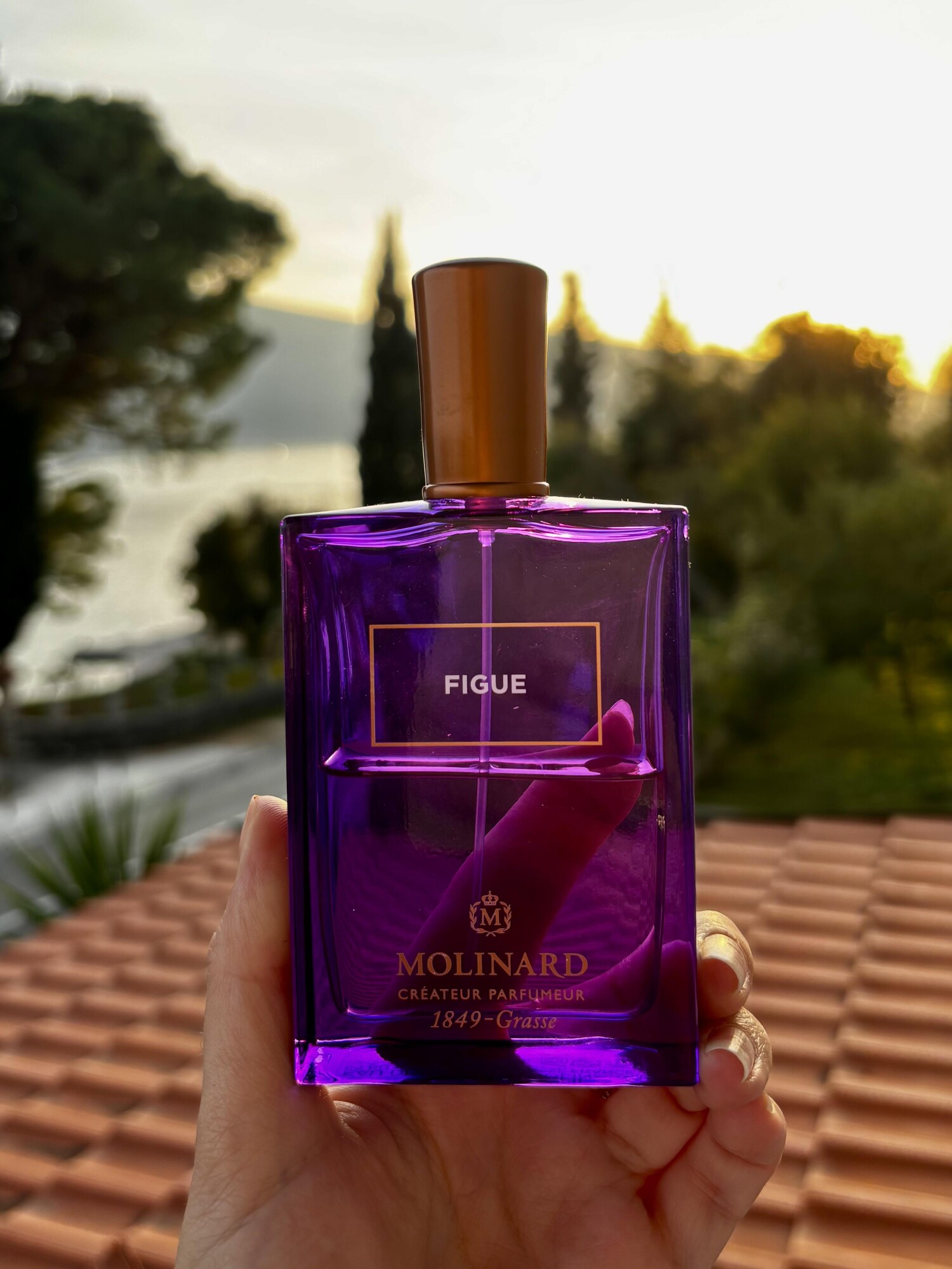 Figue Eau de Parfum Molinard perfume - a fragrance for women and men 2016
