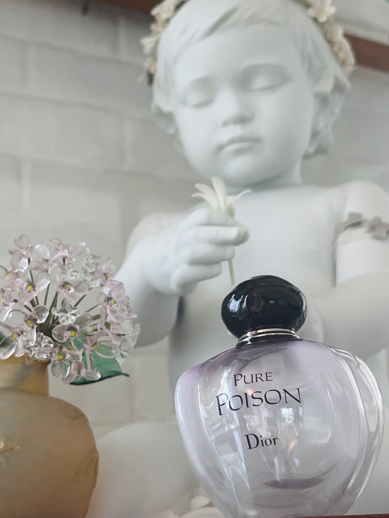 Pure Poison Dior perfume - a fragrance for women 2004