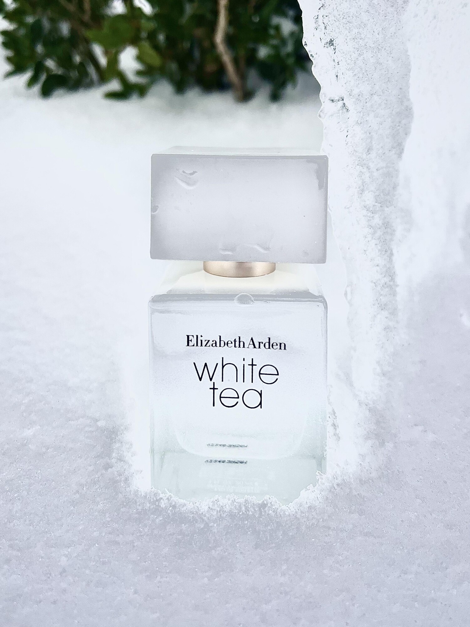 White Tea Elizabeth Arden perfume - a fragrance for women 2017